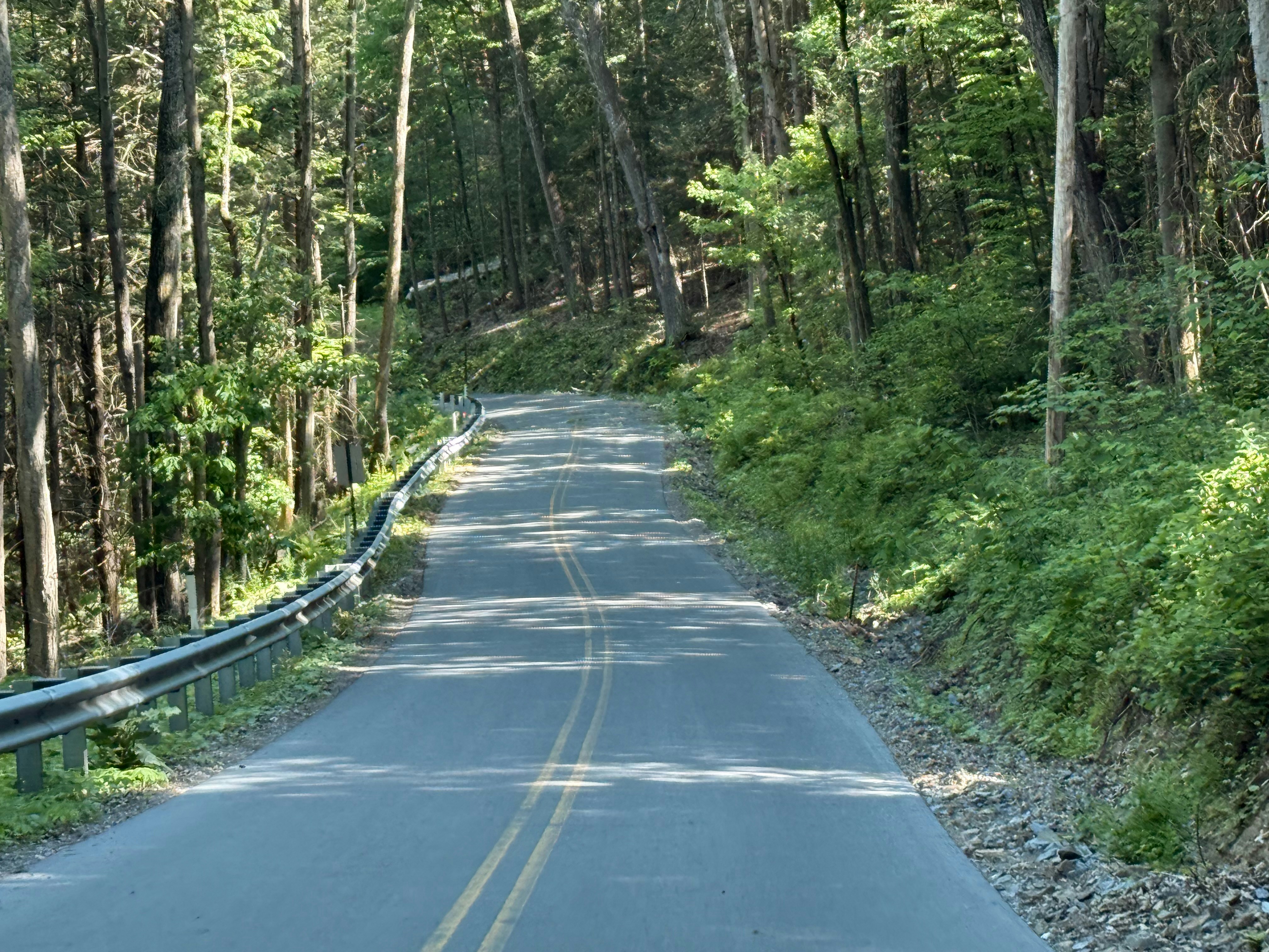 Forest road