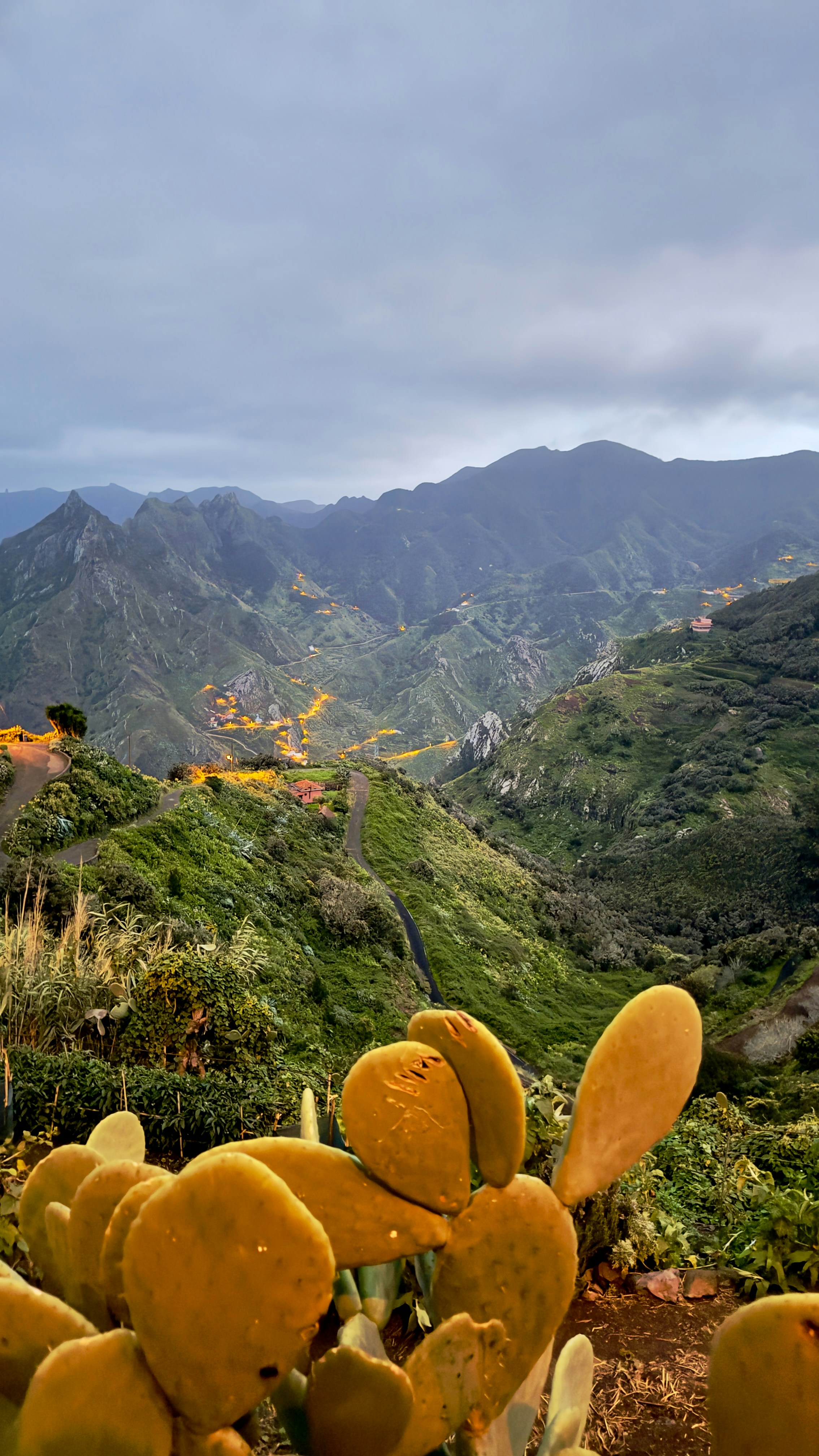Cactus Foreground Meeting the Terraced Valleys Under Cloudy Blue Skies