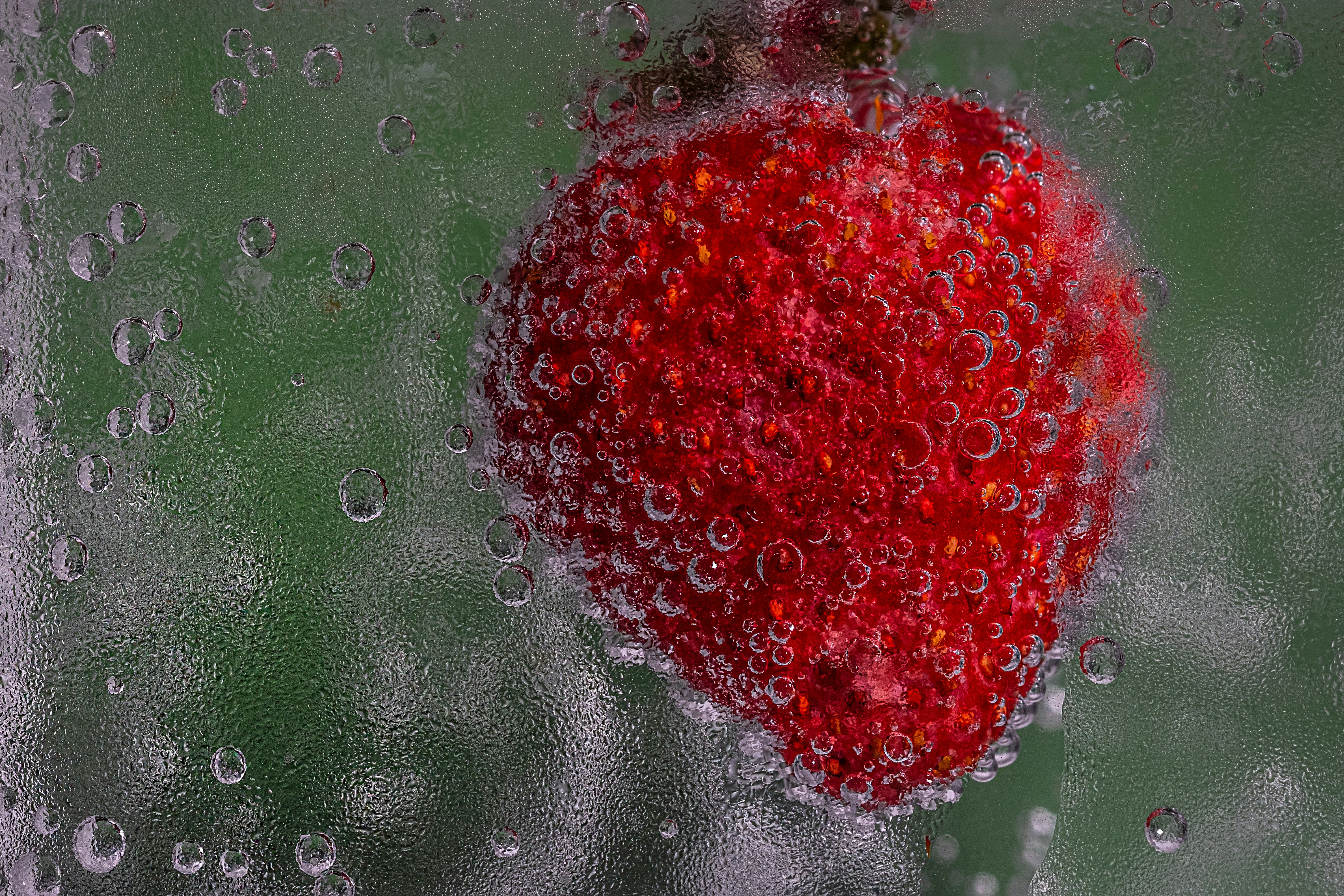 Red Jewel in Frozen Bubbles