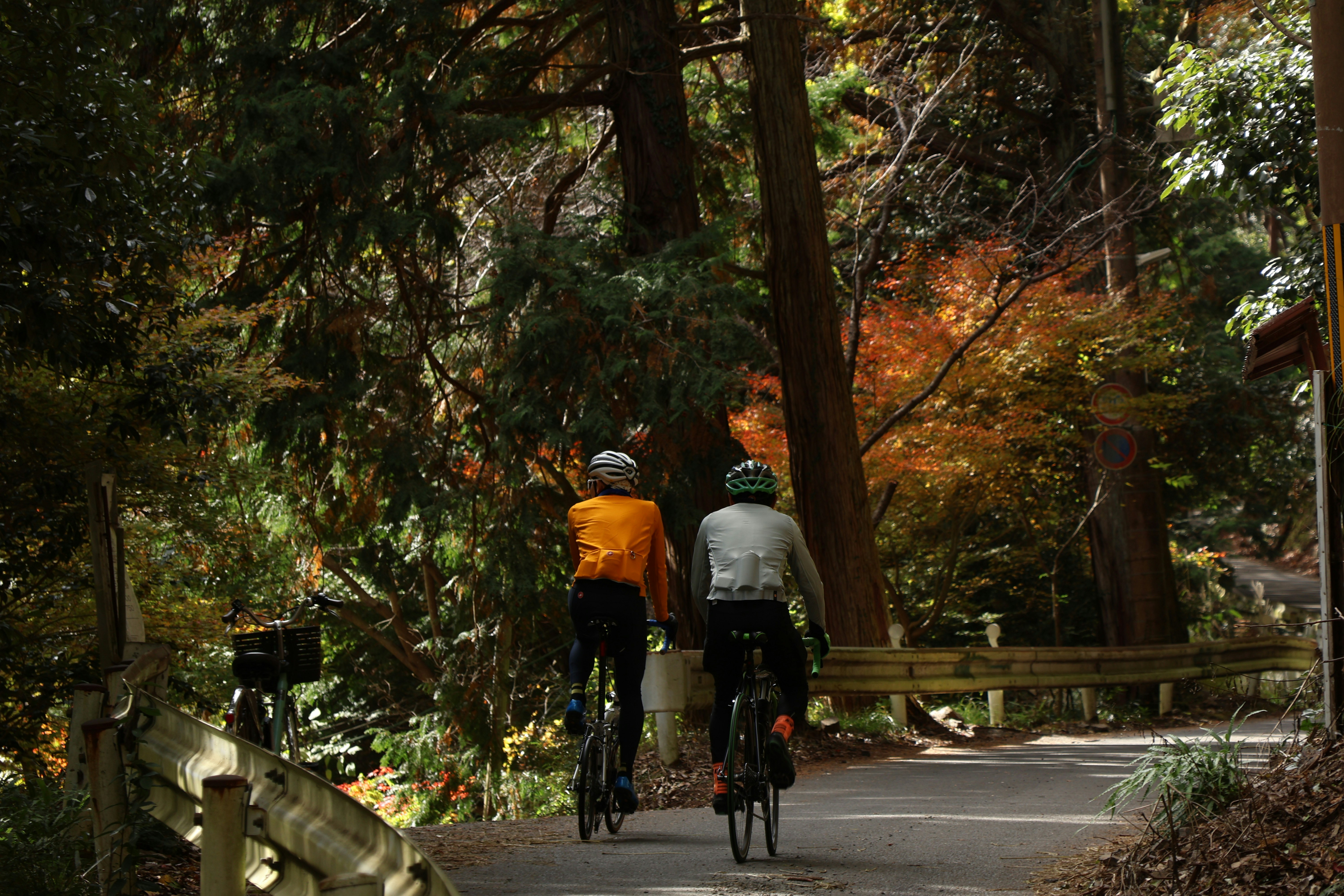 Autumn Ride: Two Cyclists on a Leaf-Filled Forest Path