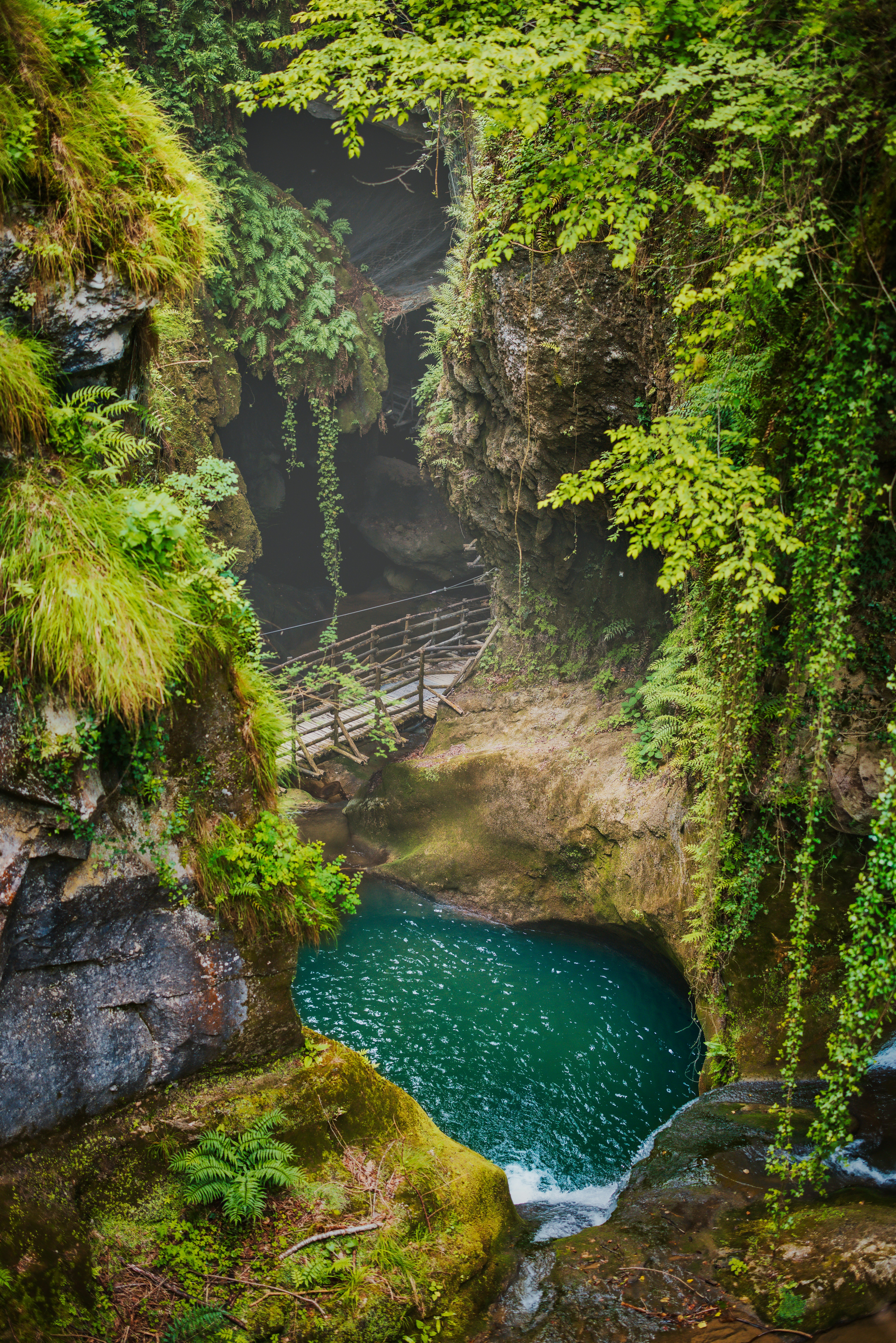 Lush green gorge with a turquoise pool and wooden walkway.