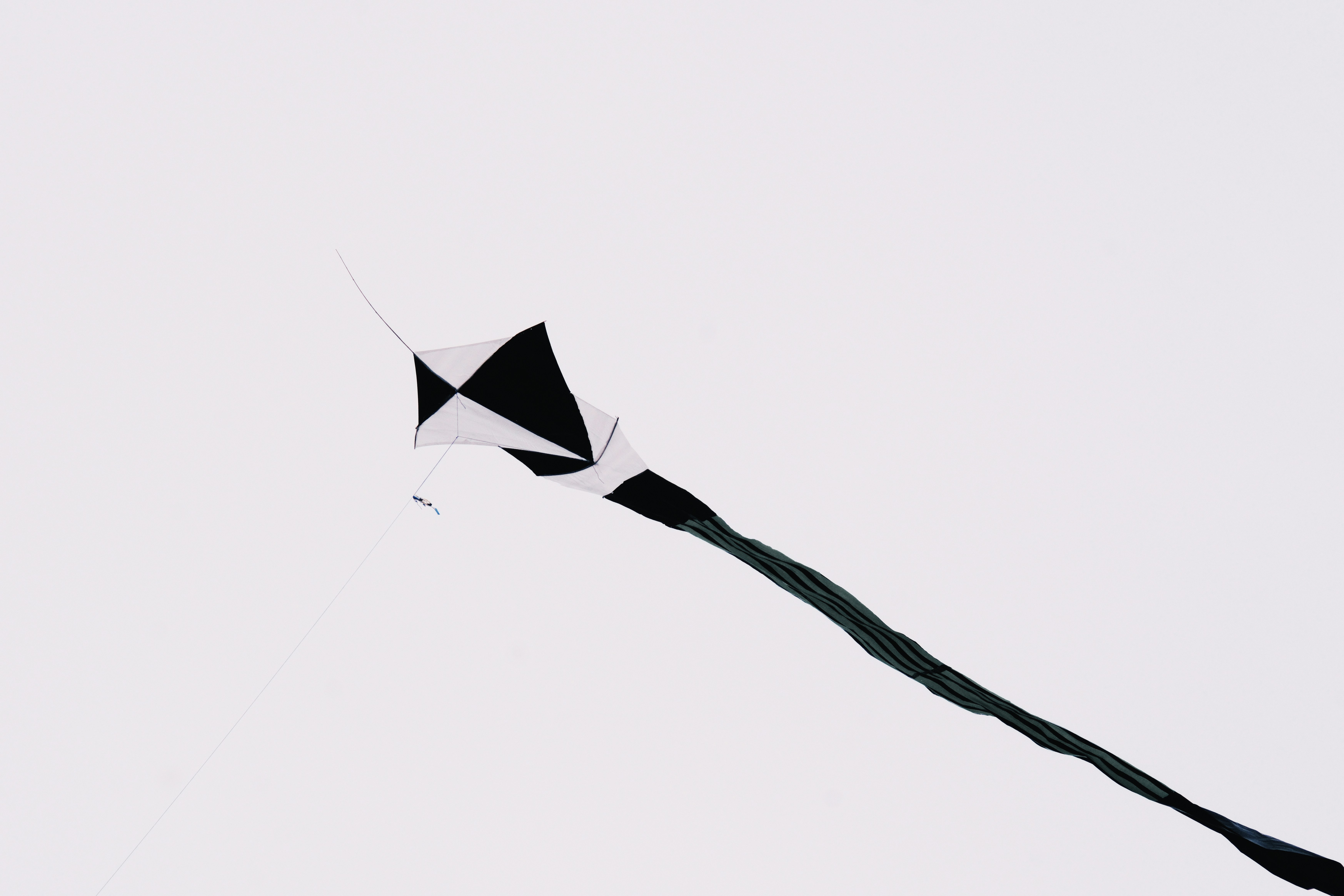 Kite-tail Threading Through an Empty Sky