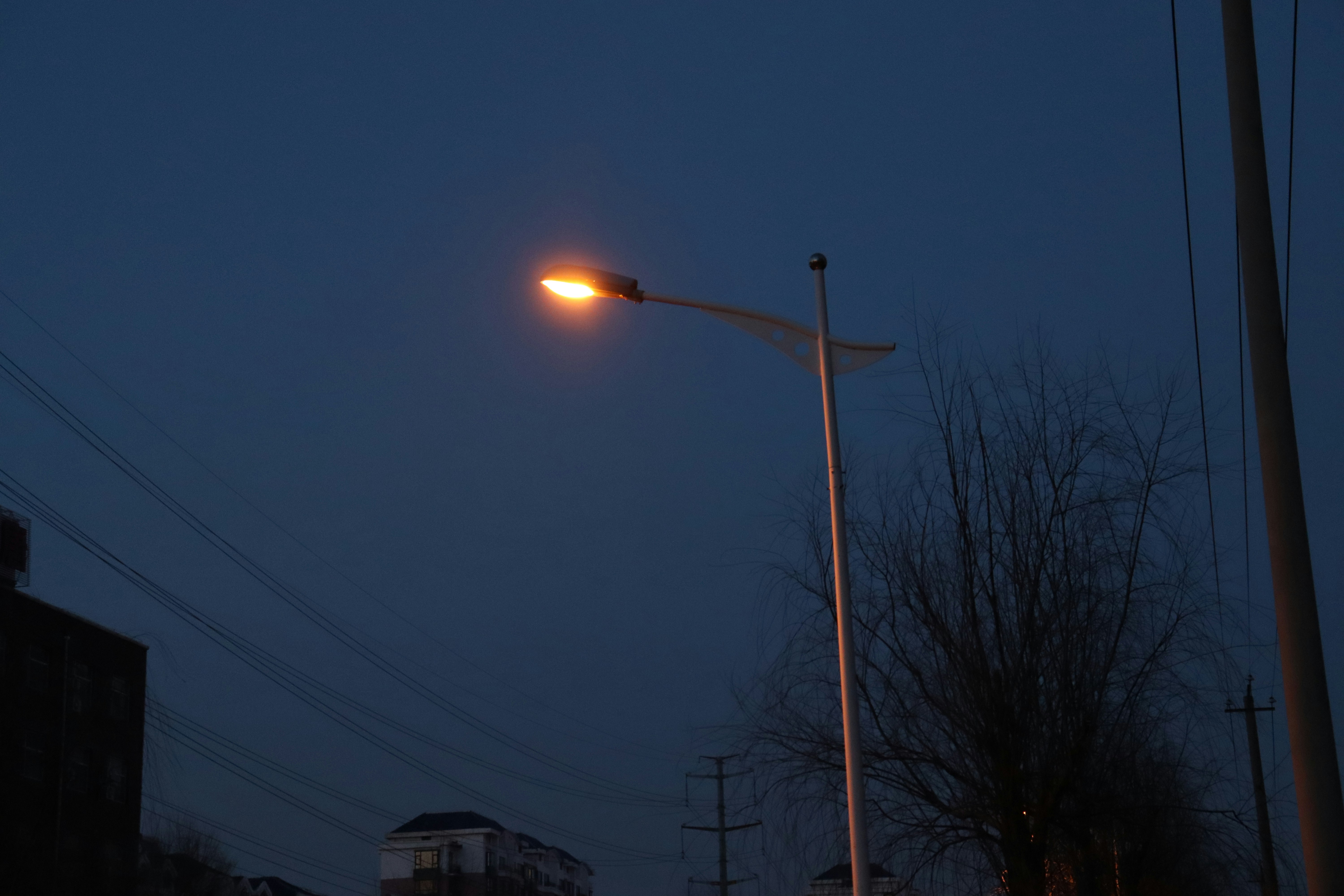 Amber Streetlamp Amid Evening Silence