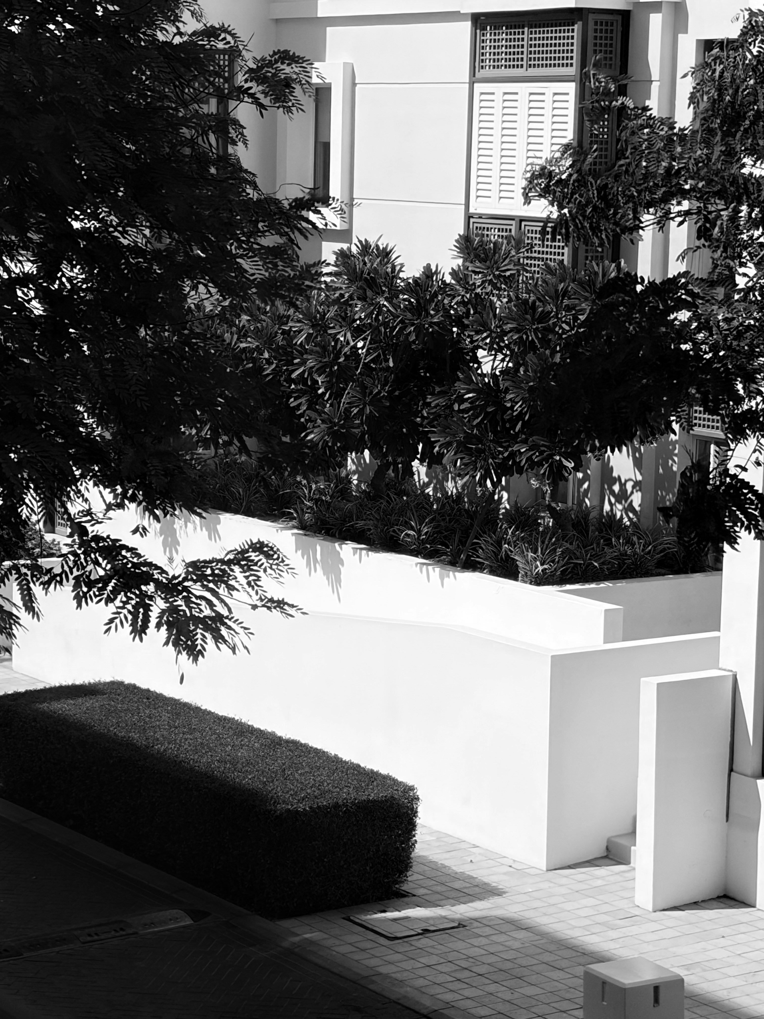 Sunlit Terrace Amid Architectural Lines and Shadowed Foliage