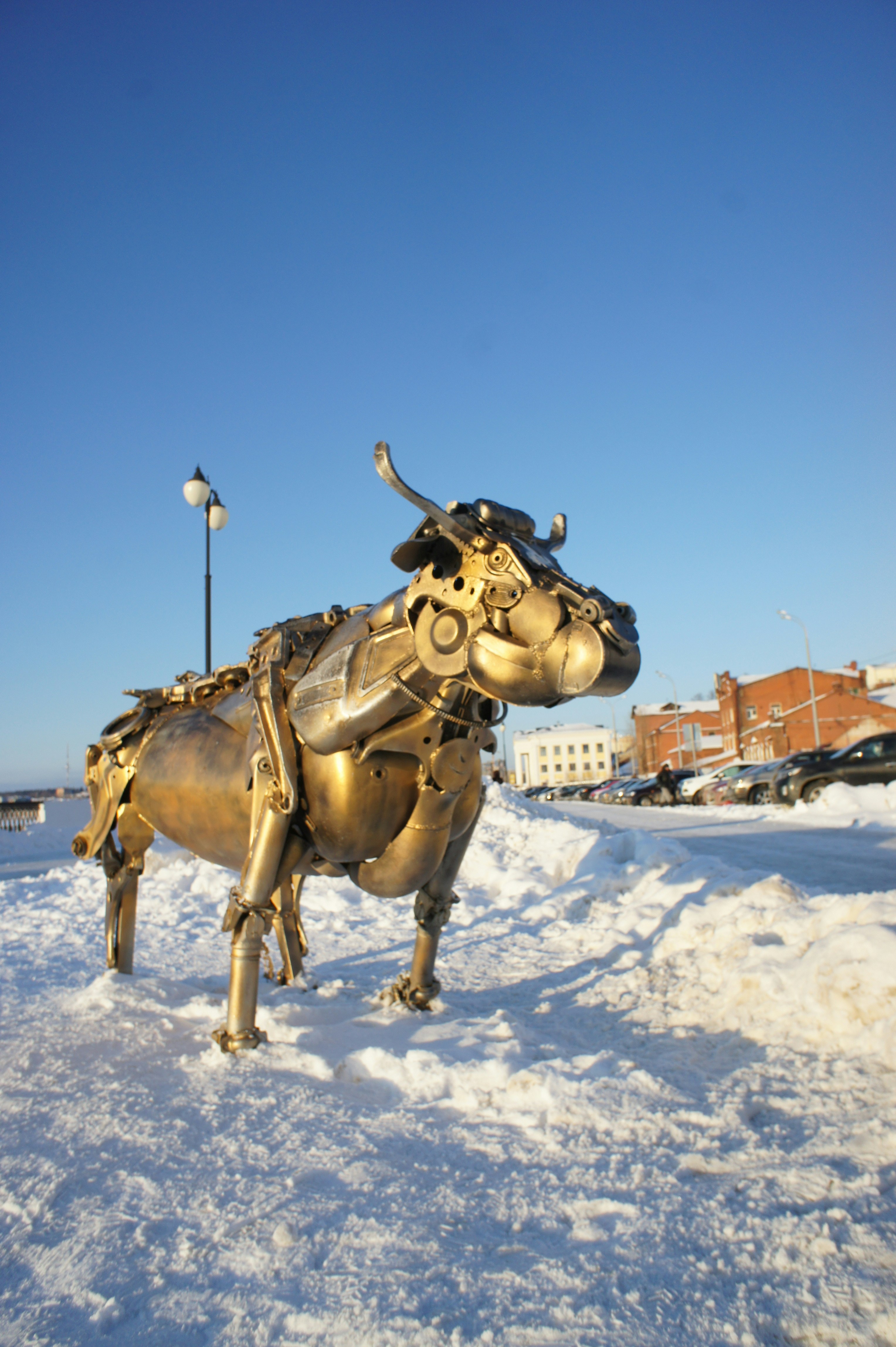 Bronze Bull in Winter Light