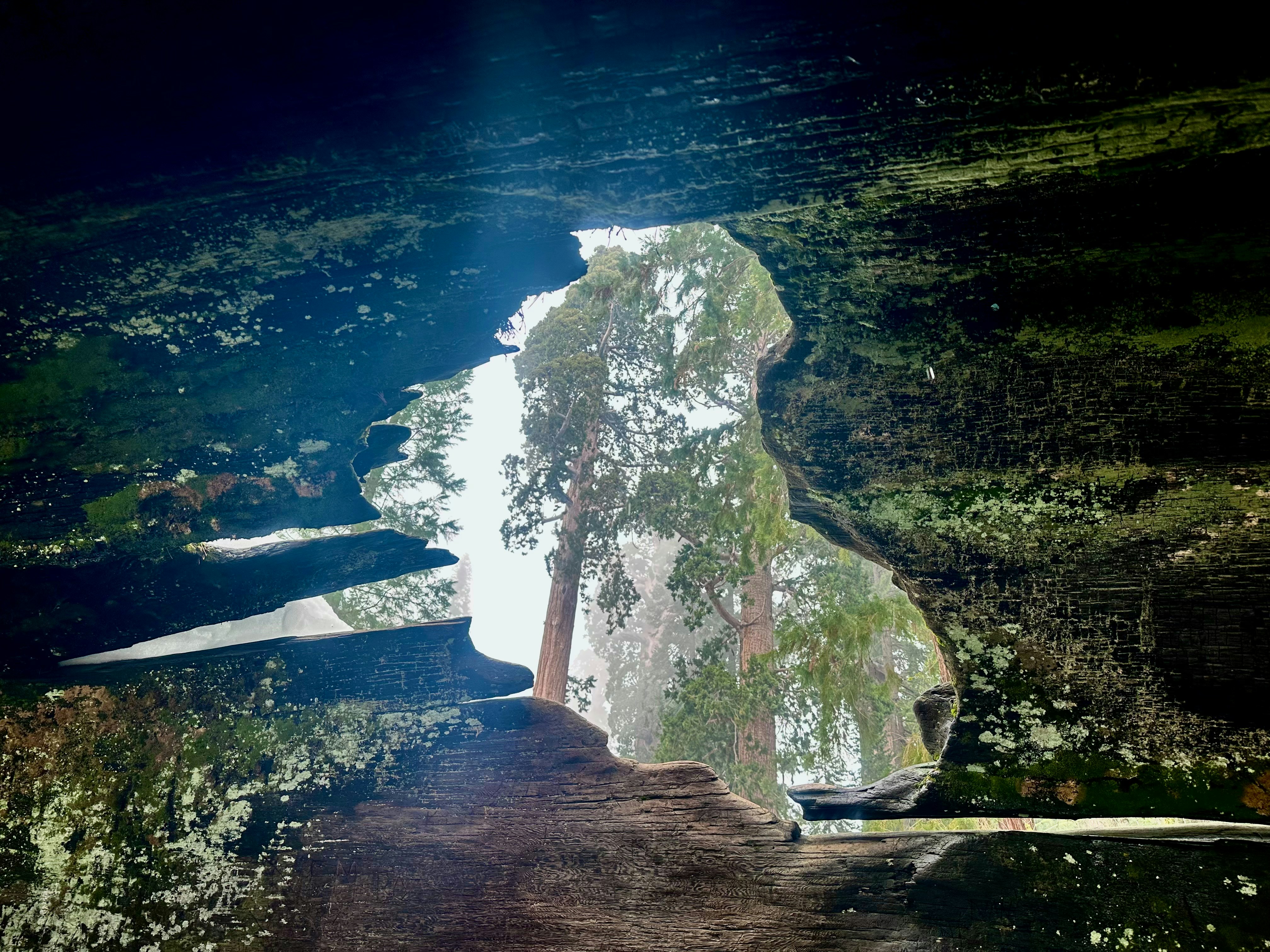 Emerging Light Through a Moss-Clad Arch