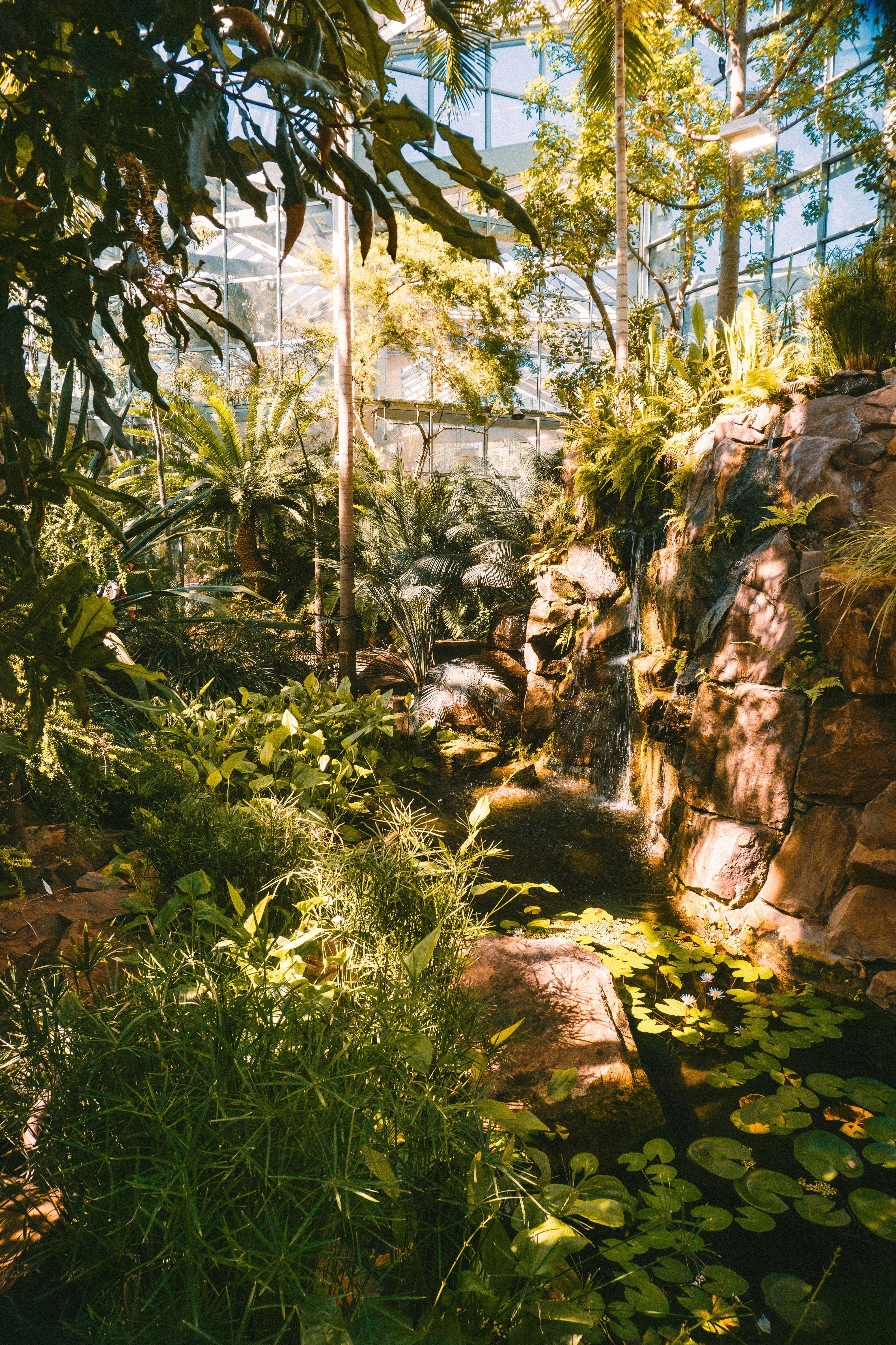 Oasis of Light: A Glasshouse Refuge Amid Verdant Foliage