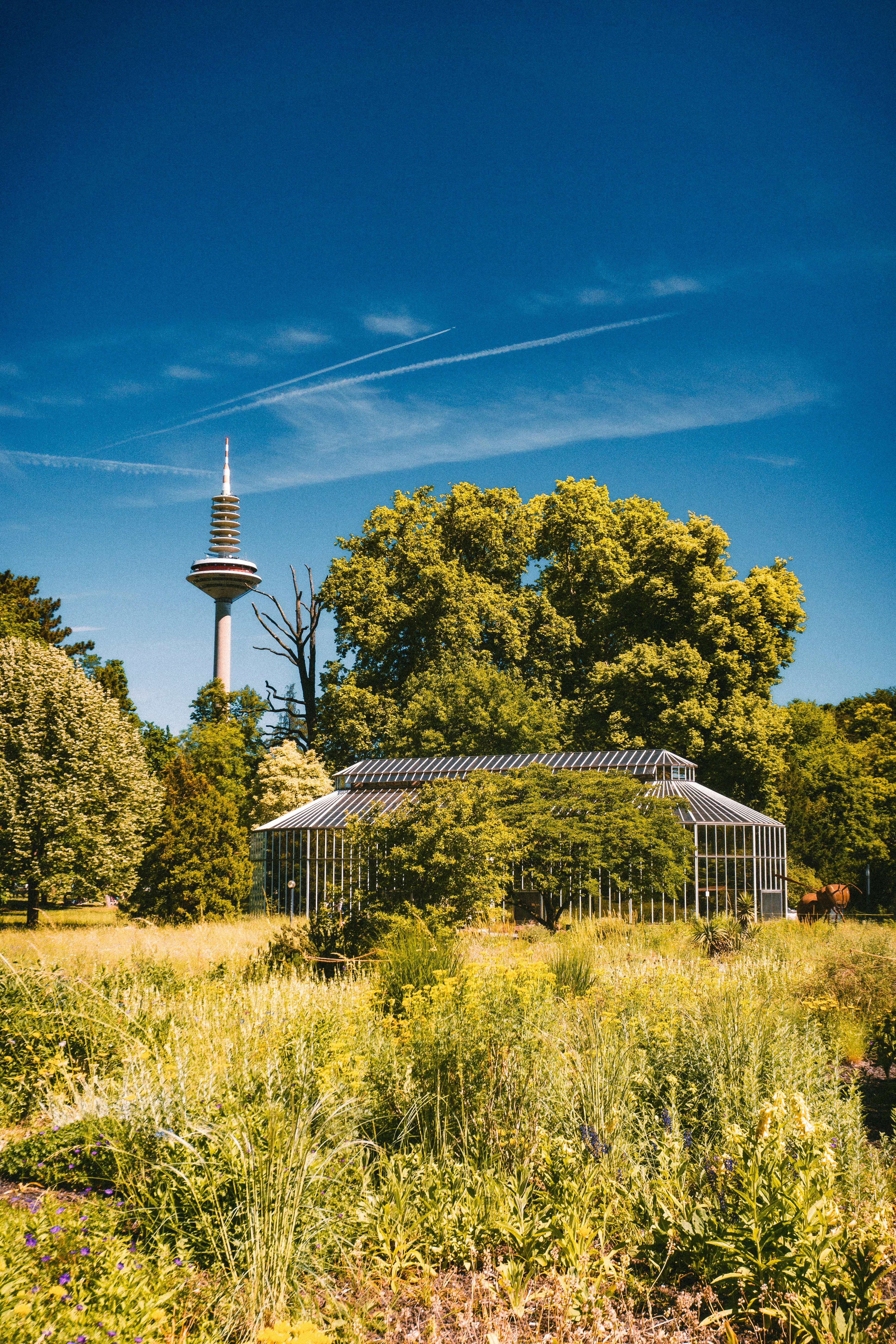 Glasshouse in a Golden Meadow with a City Spire