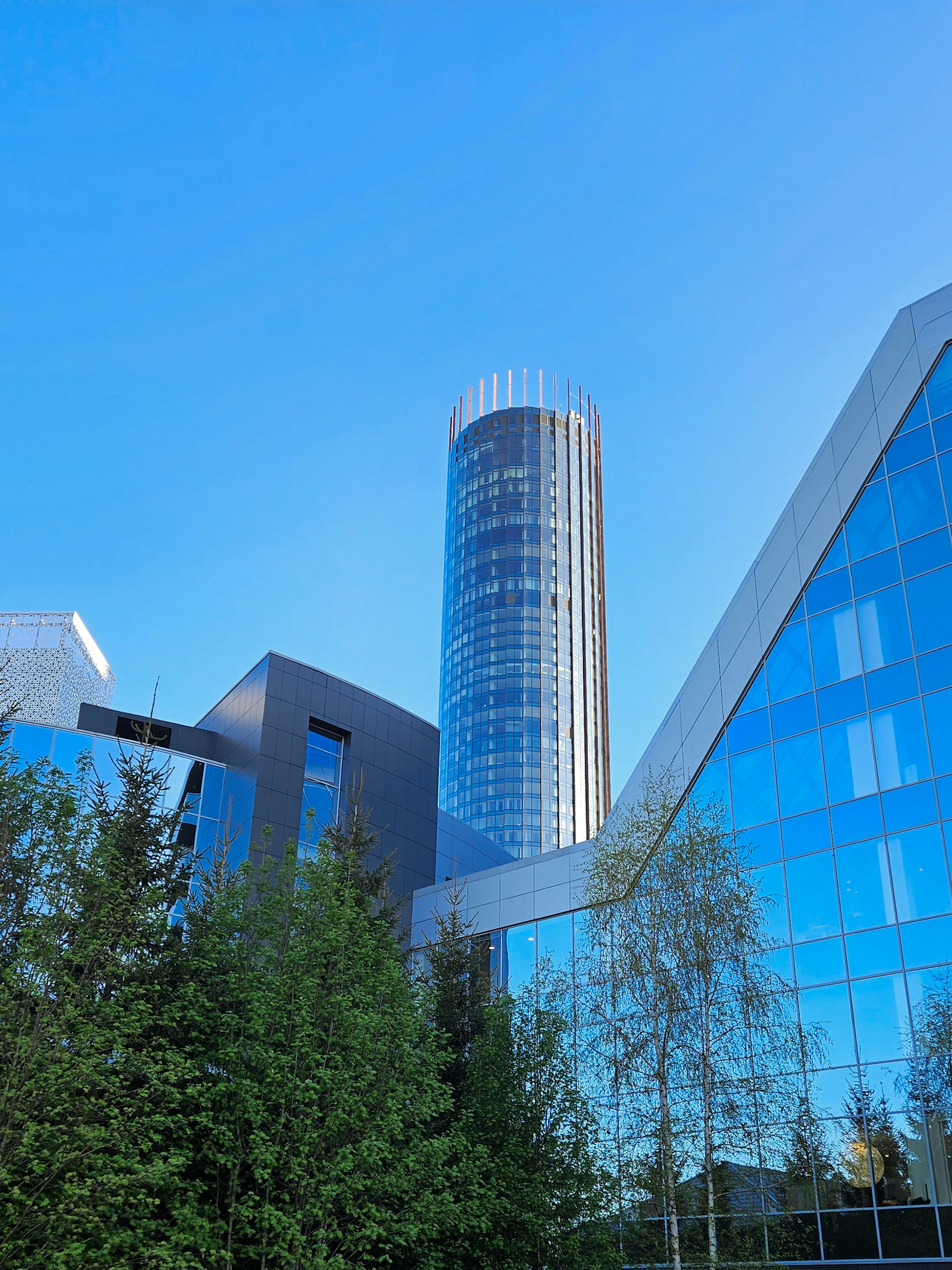 Cobalt Skyline: Glass Tower Rising Over Green Canopy