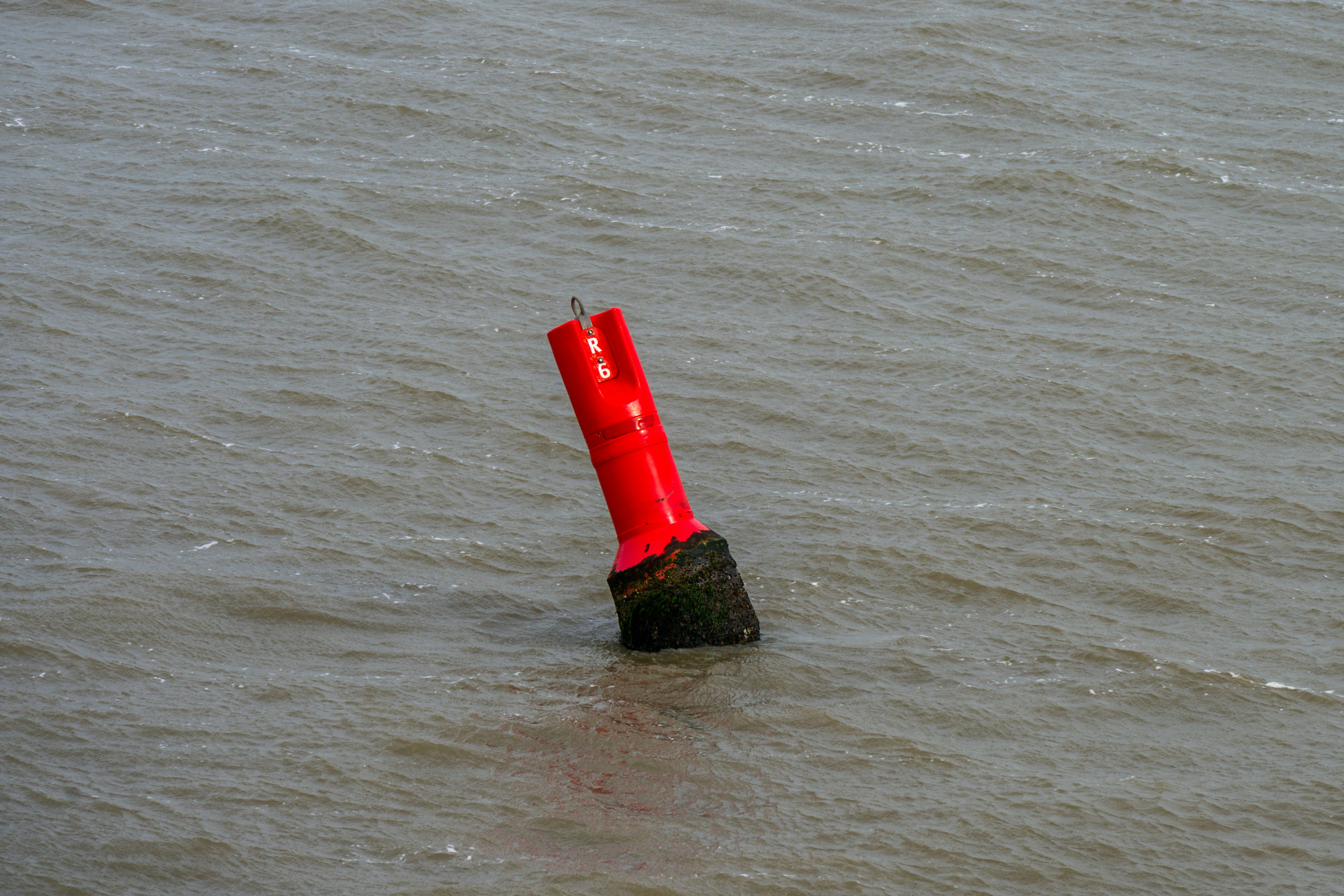 Red Buoy Rising from Gray Waves