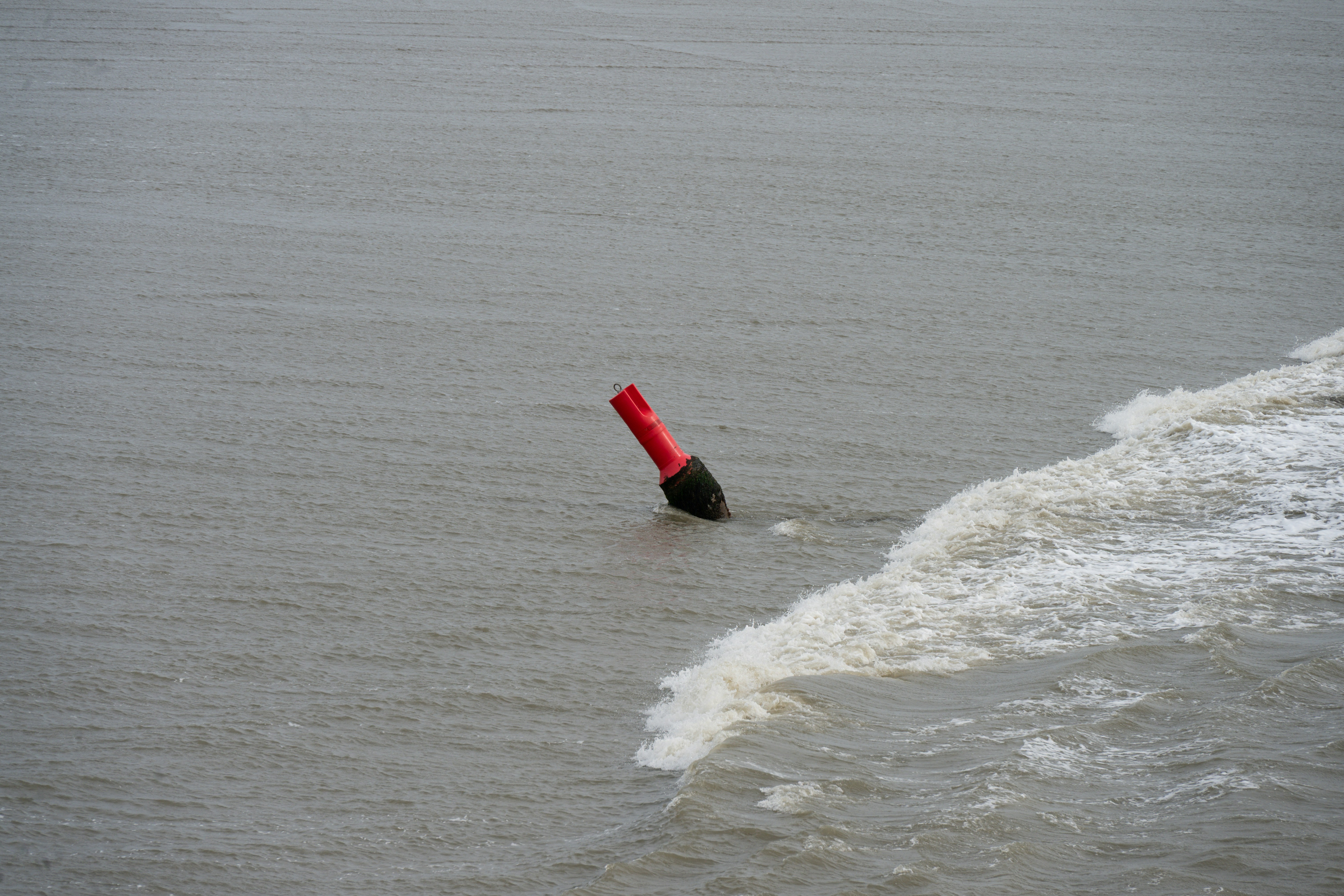 Red Buoy Adrift: A Quiet Wake at the Shoreline