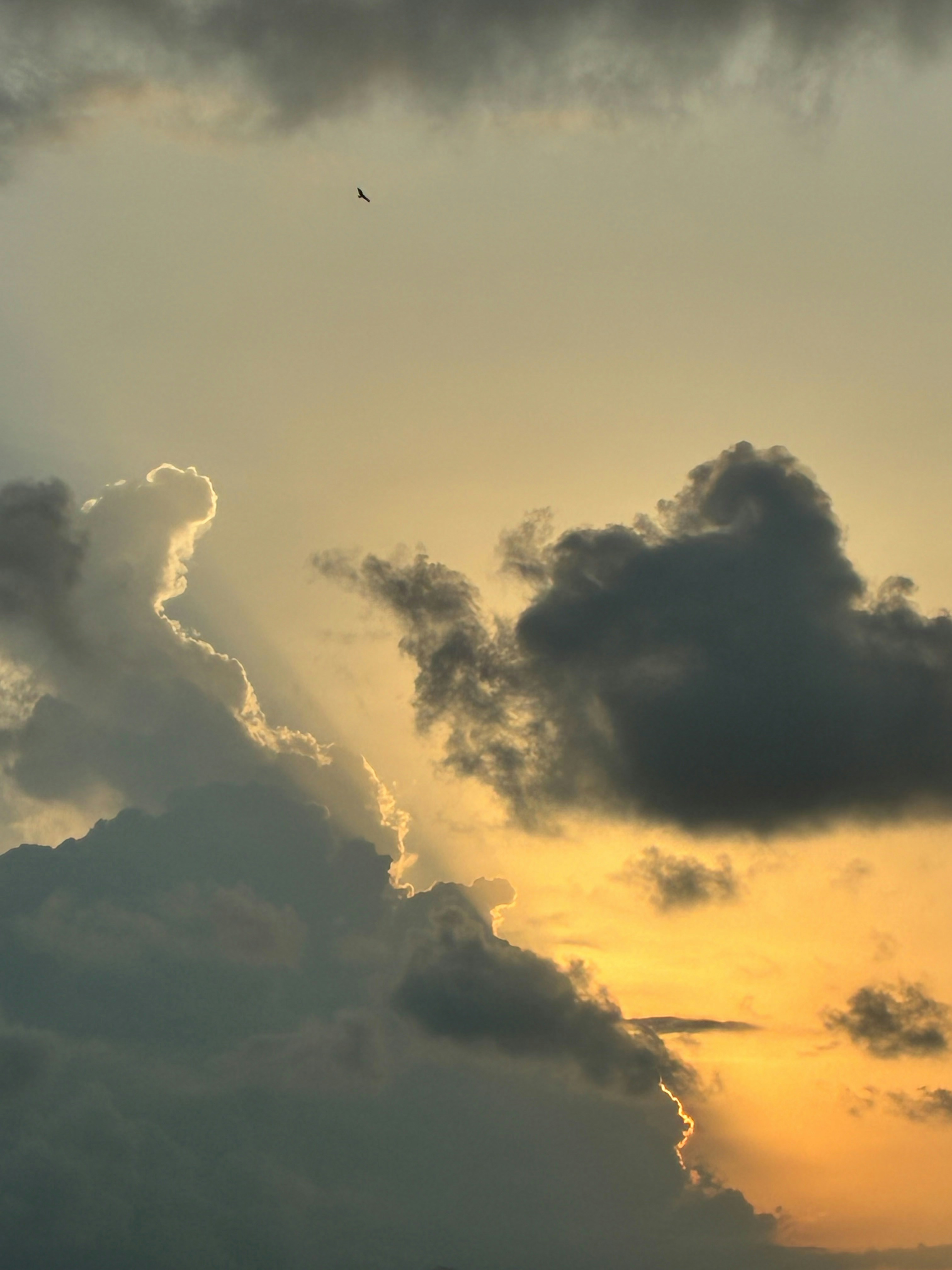 Golden Edge: Sunlit Cloud Formations at Dusk