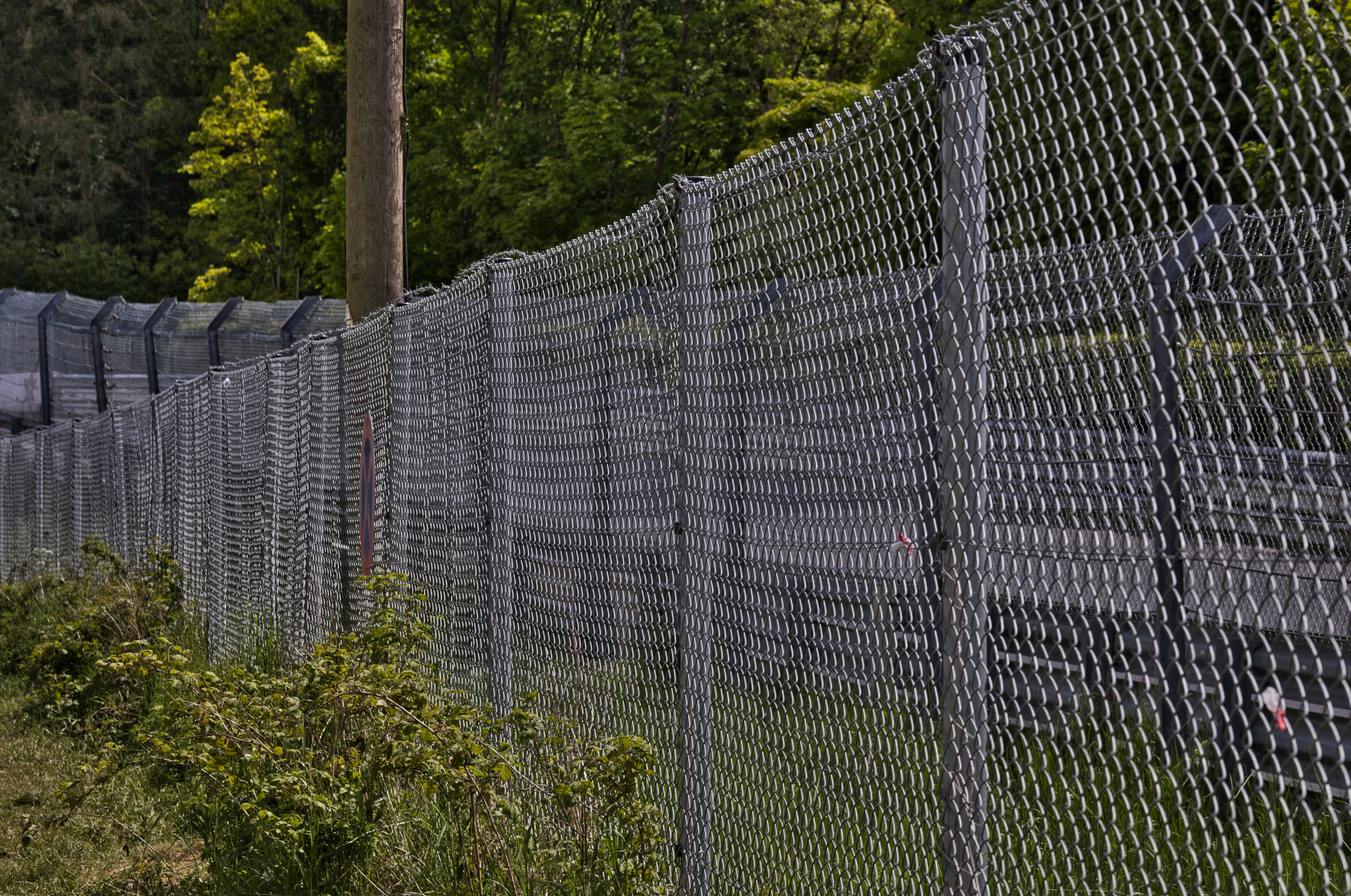 Barbed Silence: A Chain-Link Barrier Along the Overgrown Verge