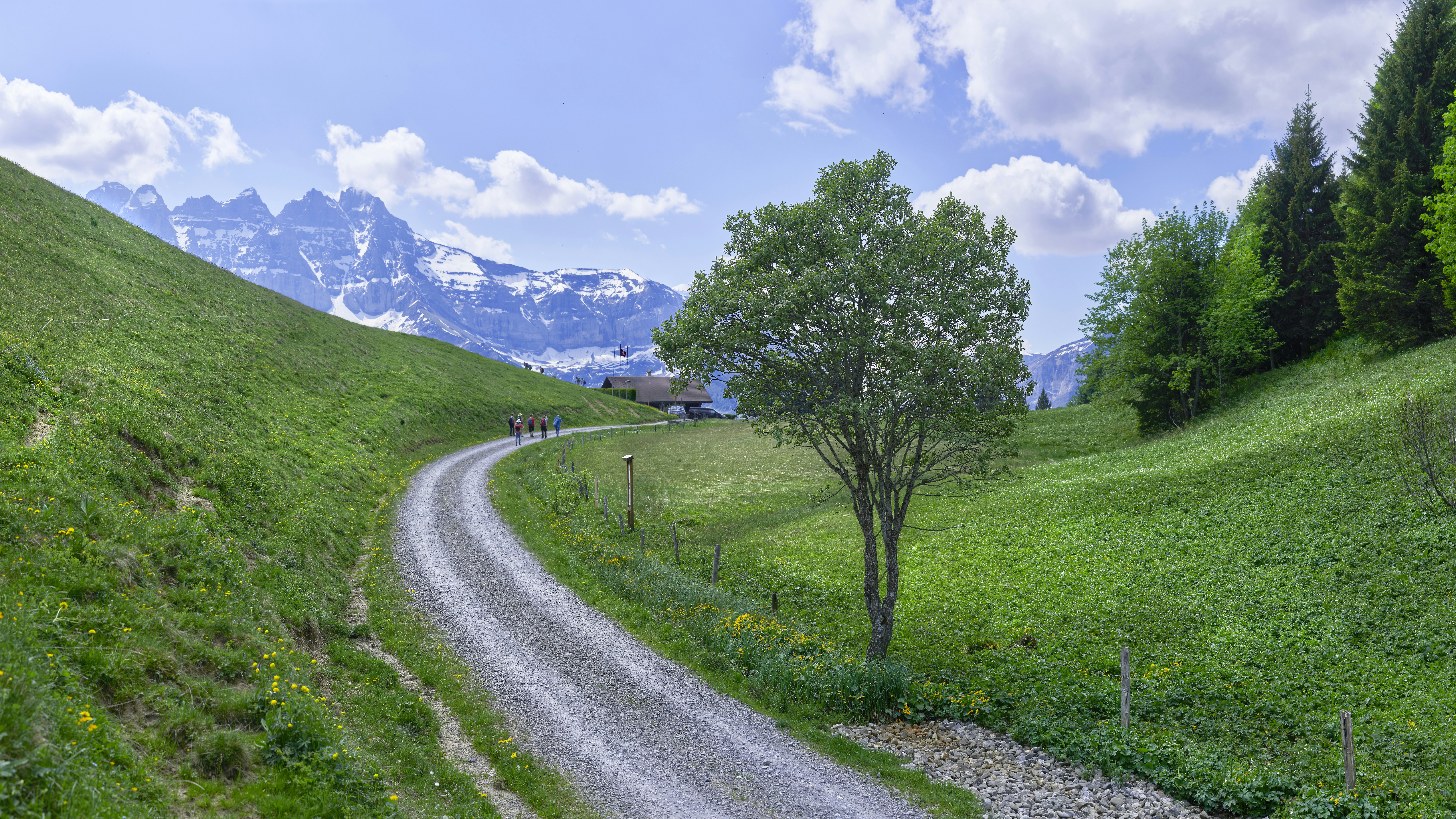 Trail to the Alpine Village: A Curving Path Through Green Slopes Under a Blue Sky