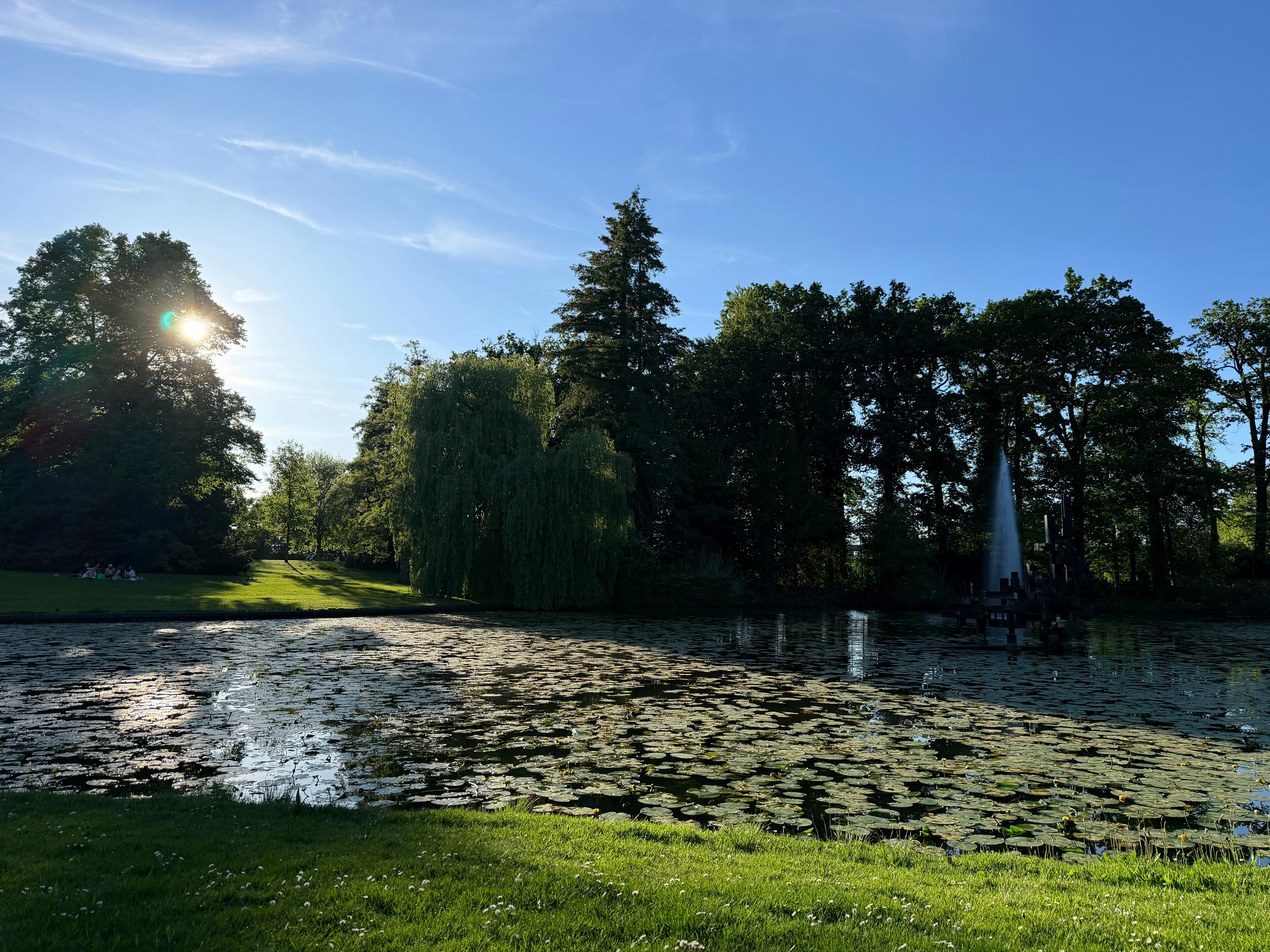 Sunlit Polish Garden: A Serene Pond Under a Clear Sky