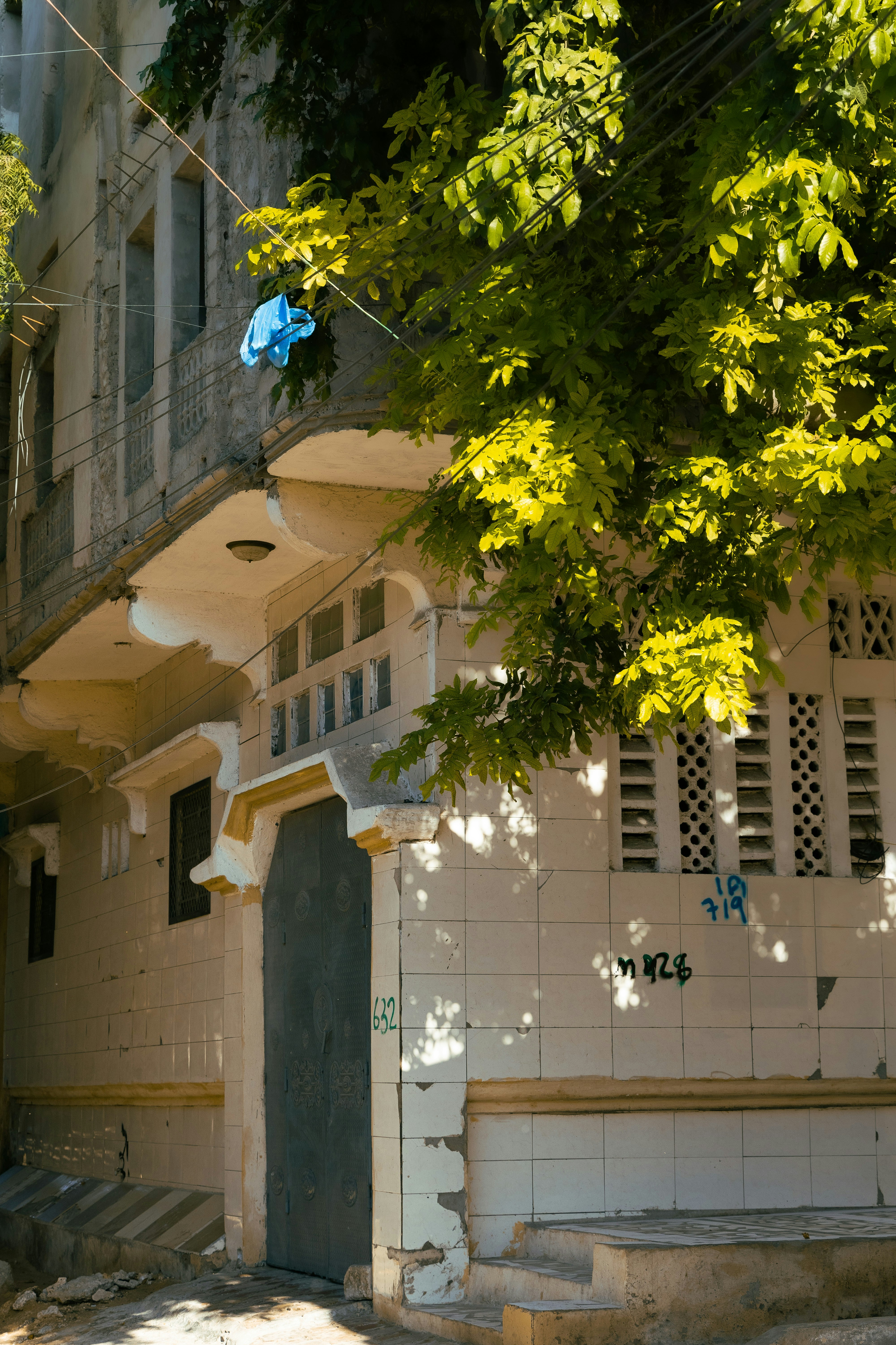 Sunlit Facade and Verdant Canopy Over an Old Corner Building