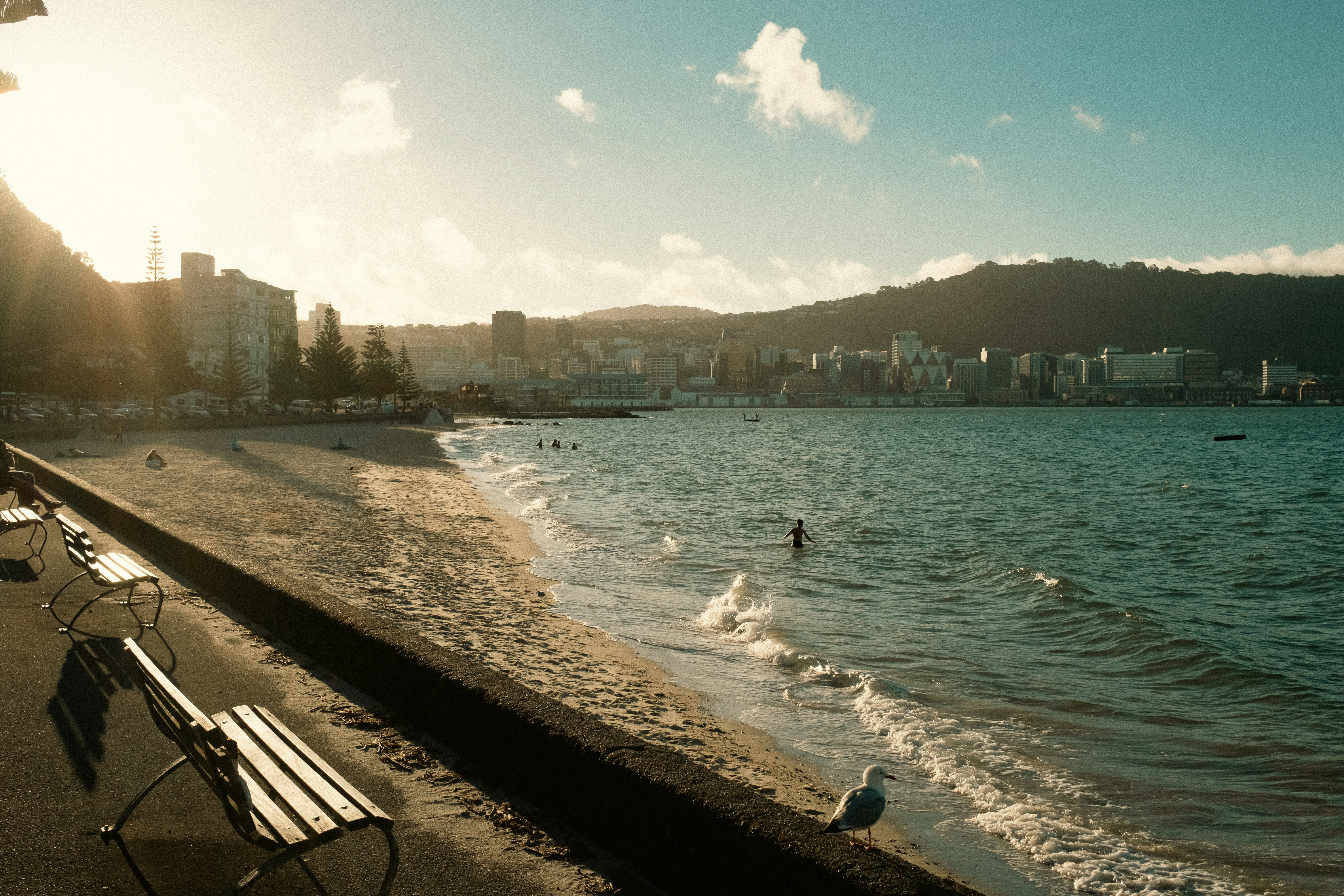 Golden Hour Promenade: Sea, Sand, and City Lights