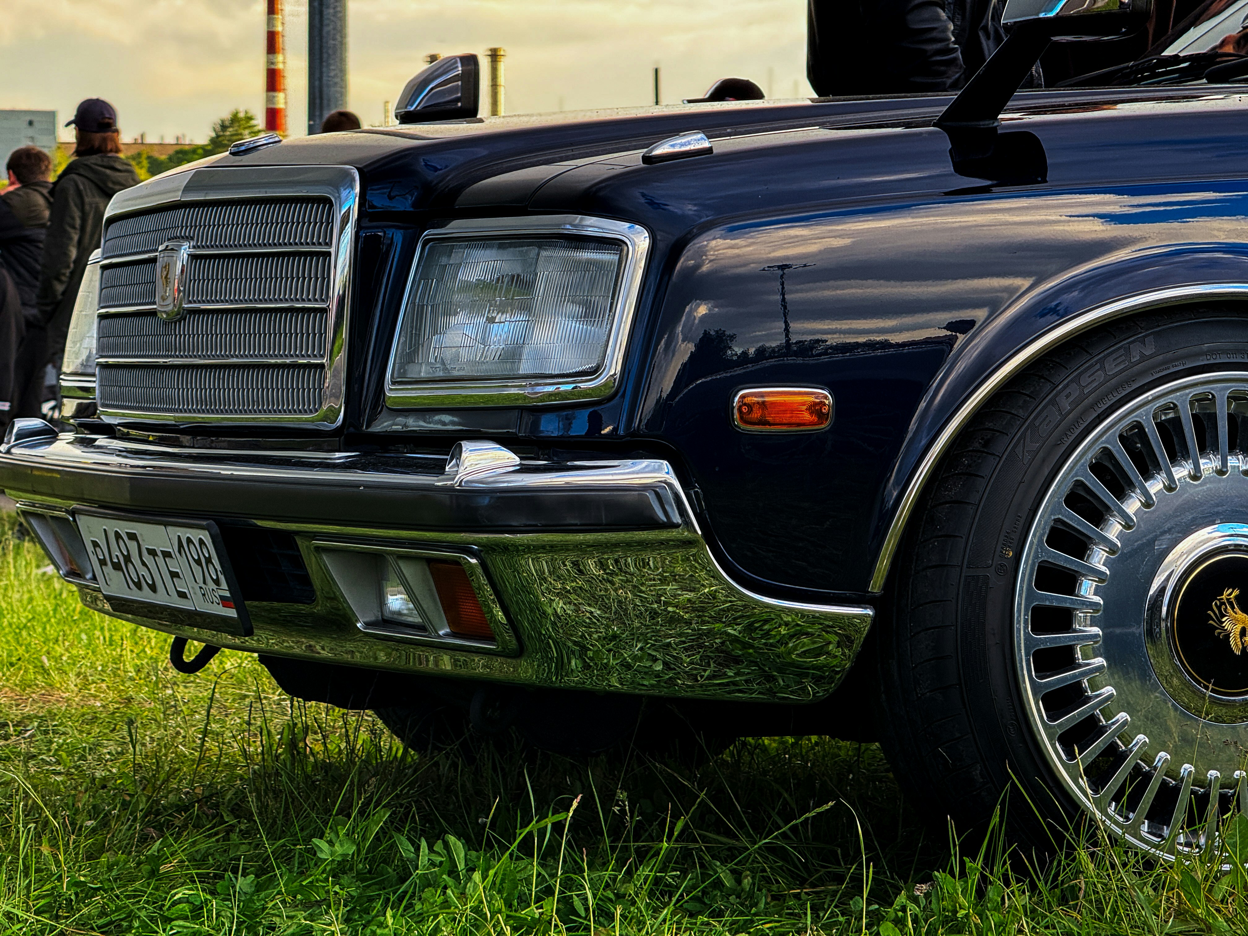 Chrome and Grass: A Classic Truck's Voiced Moment
