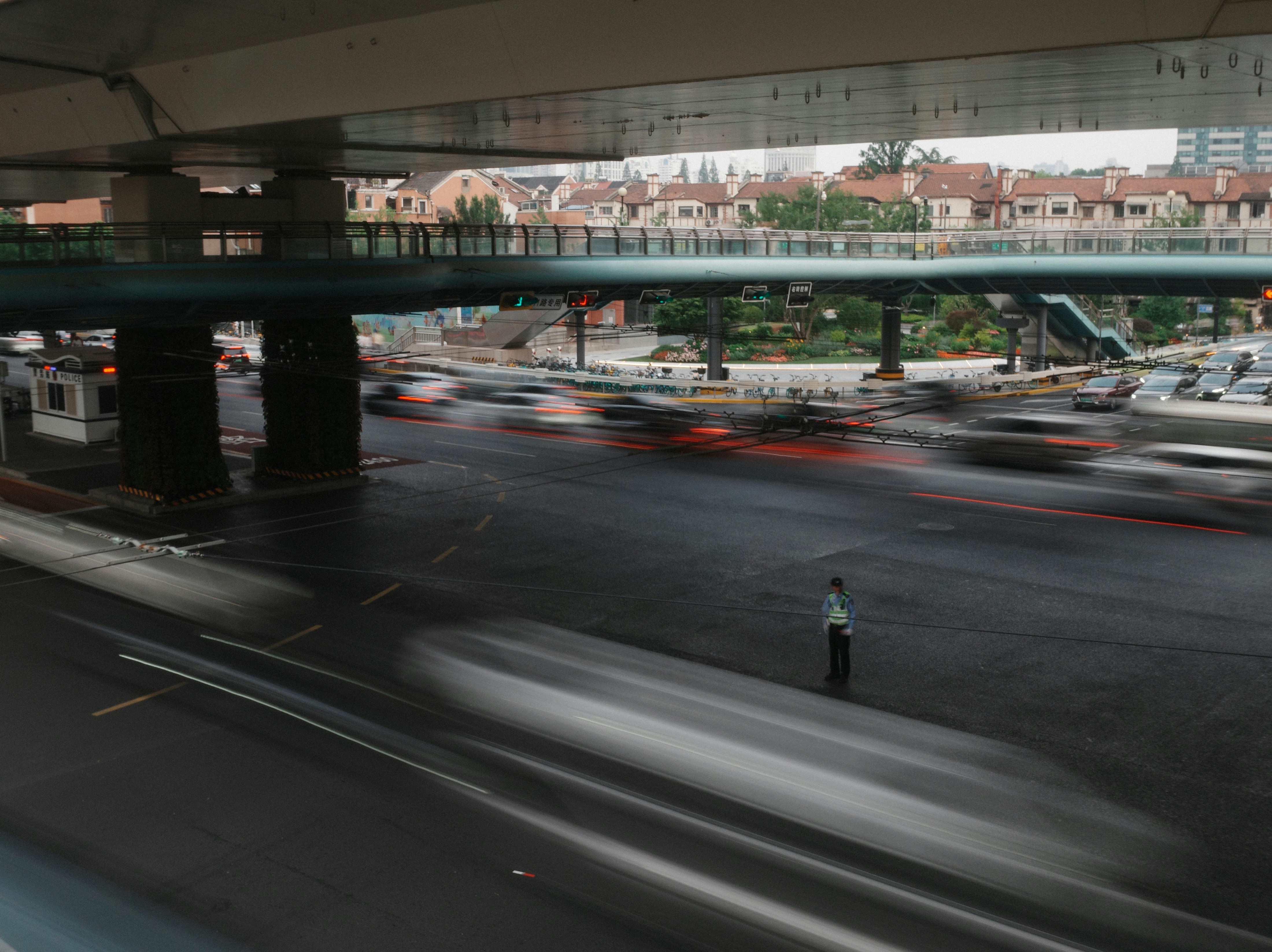 Motion Under the Overpass: A Quiet Sentinel in a Blur of City Transit