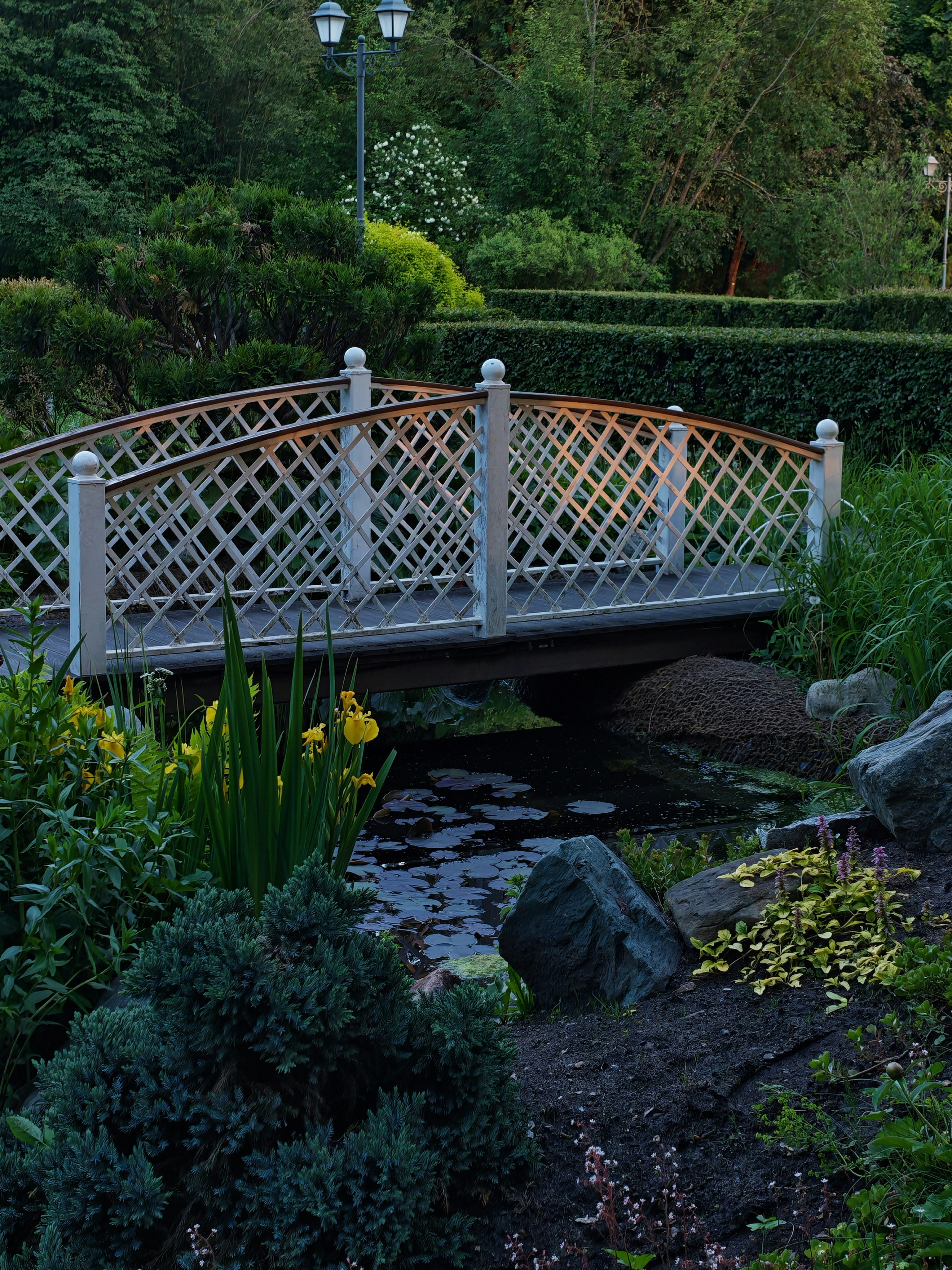 A white lattice footbridge curves over a tranquil pond framed by lush greenery and blooming plants in a carefully landscaped garden.