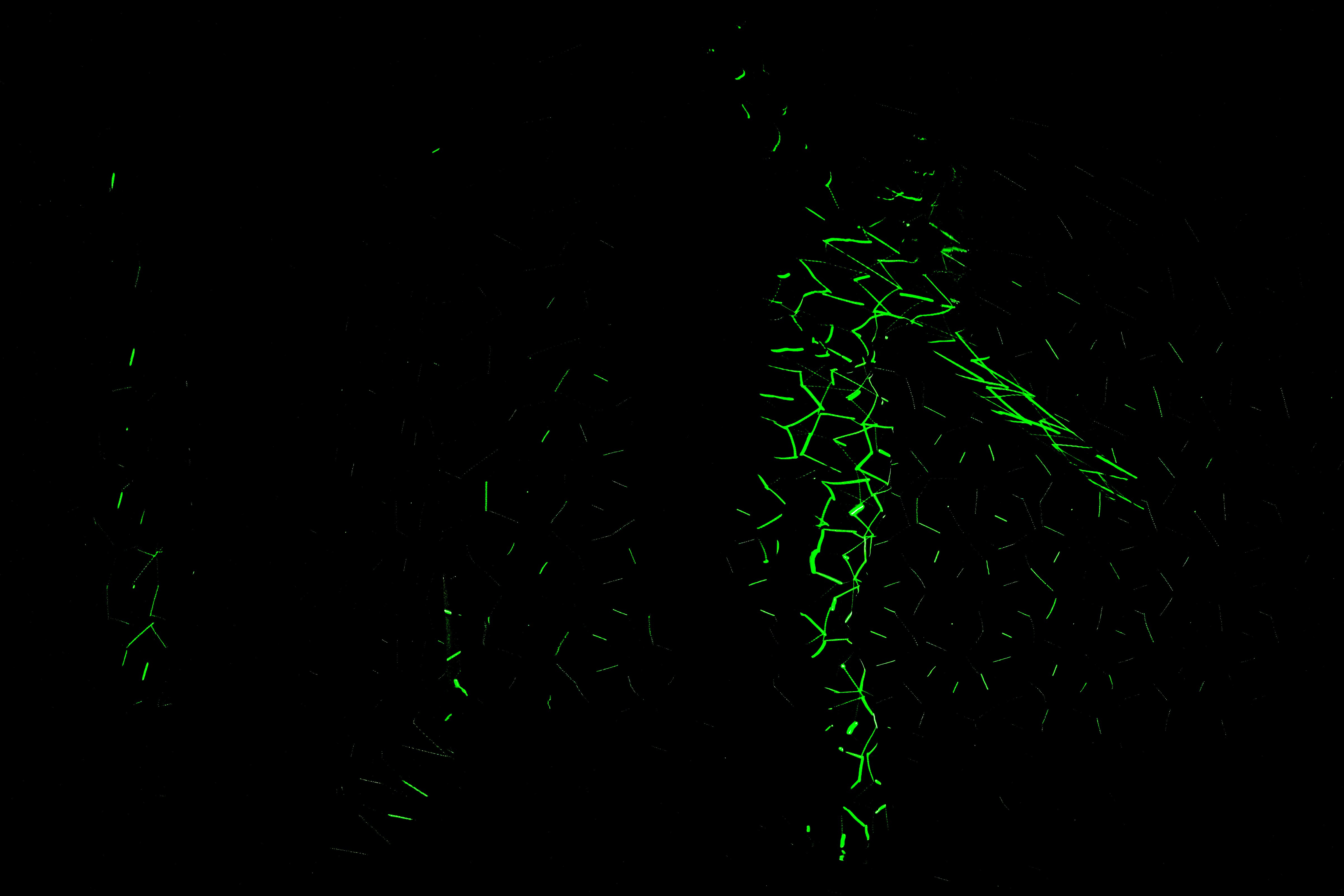 Glowing green abstract patterns against a dark background.