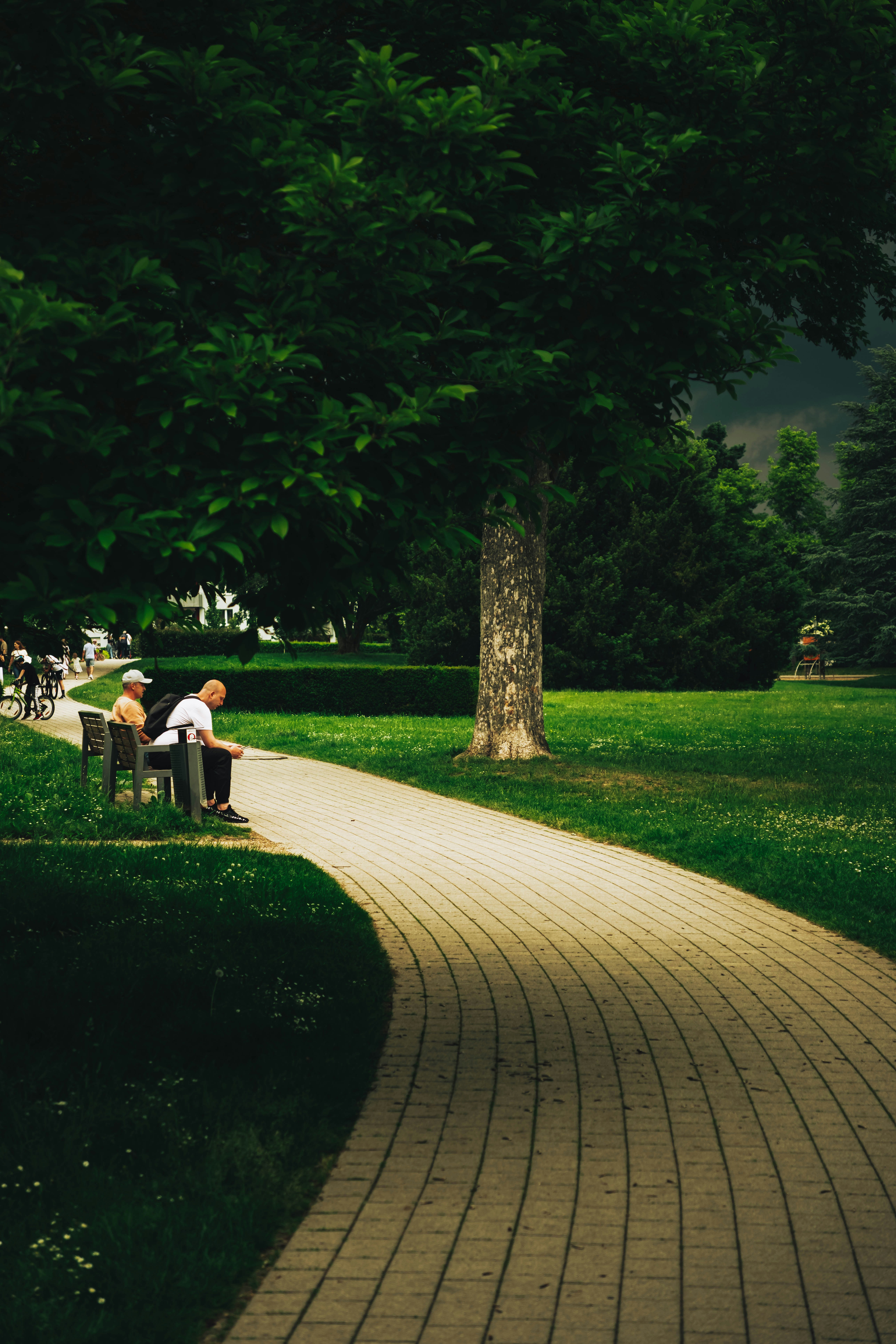 Benchside Pause: Elderly Souls in a Quiet Park