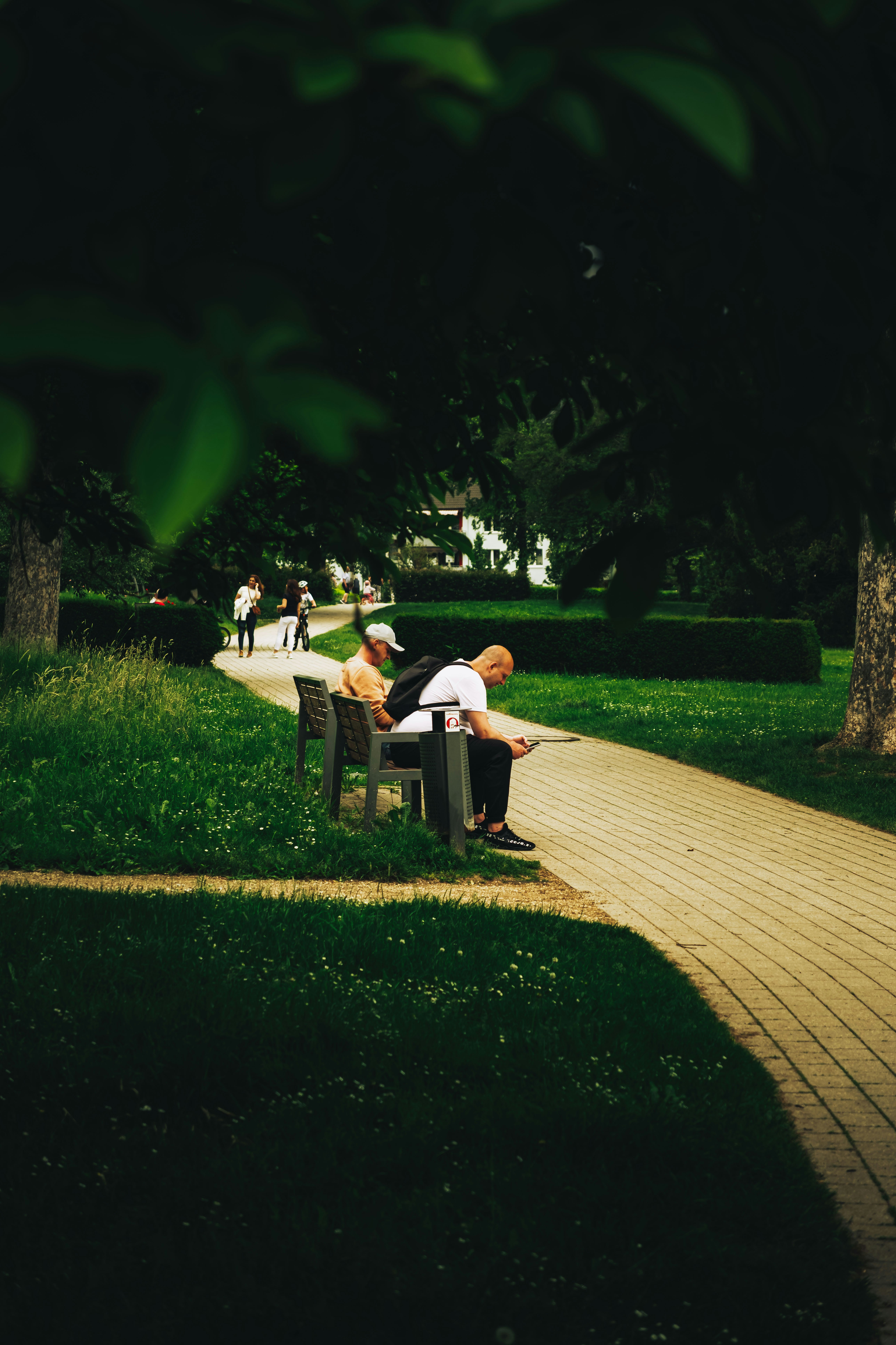 Quiet Corner: An Elderly Man Delves into a Phone on a Park Bench