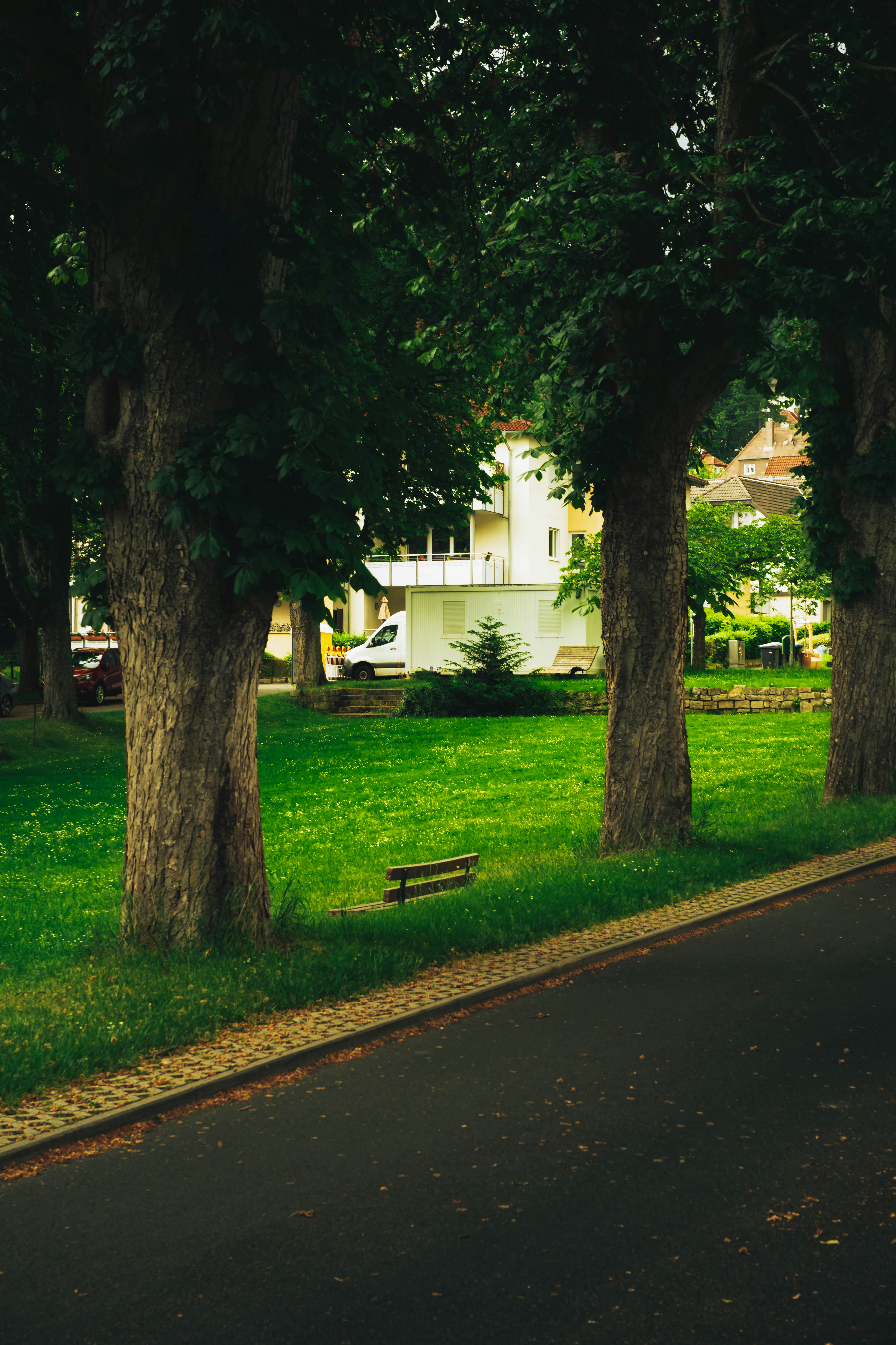 Green trees line a road beside a park.