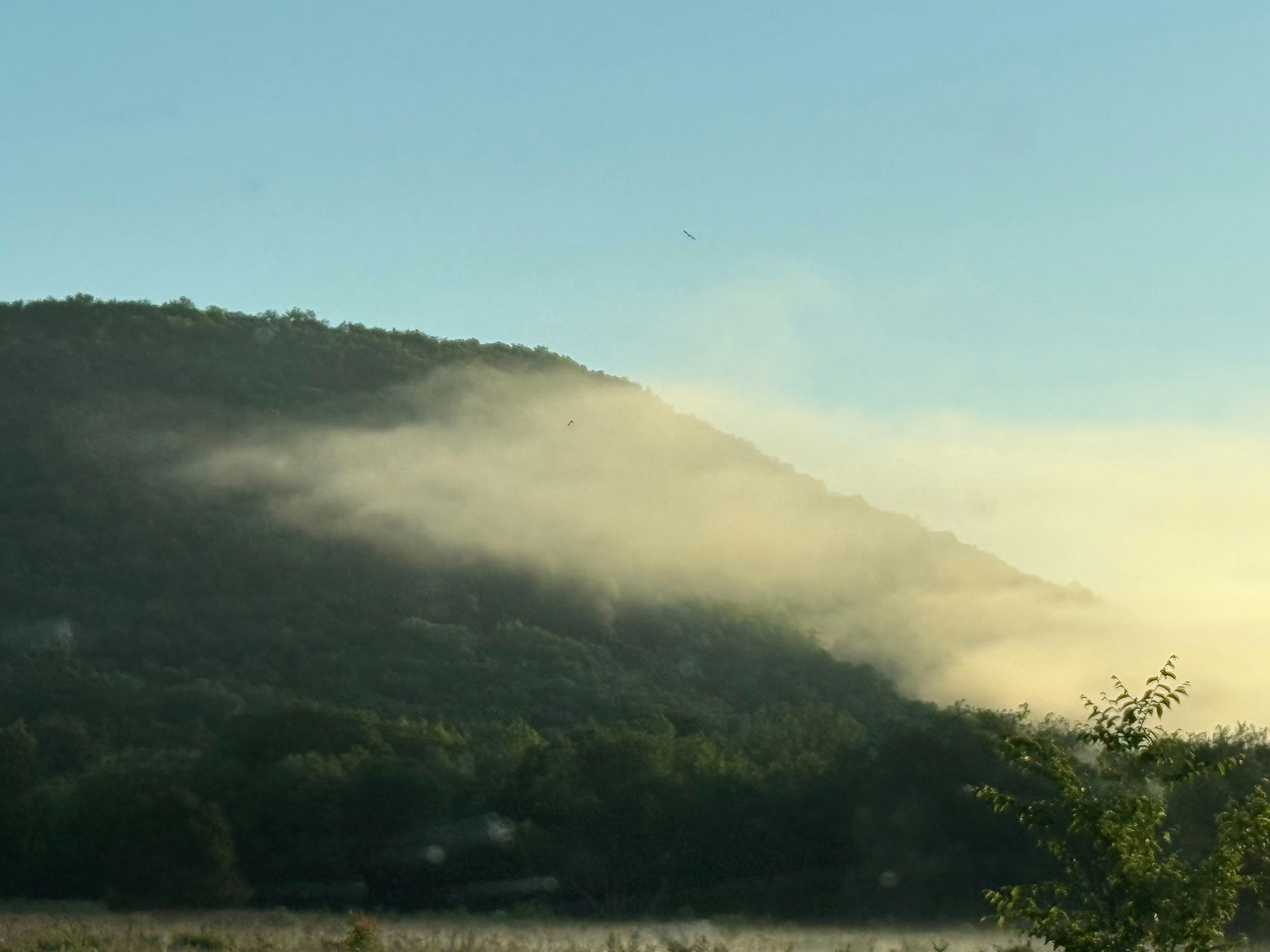 Morning Mist Over the Ridge