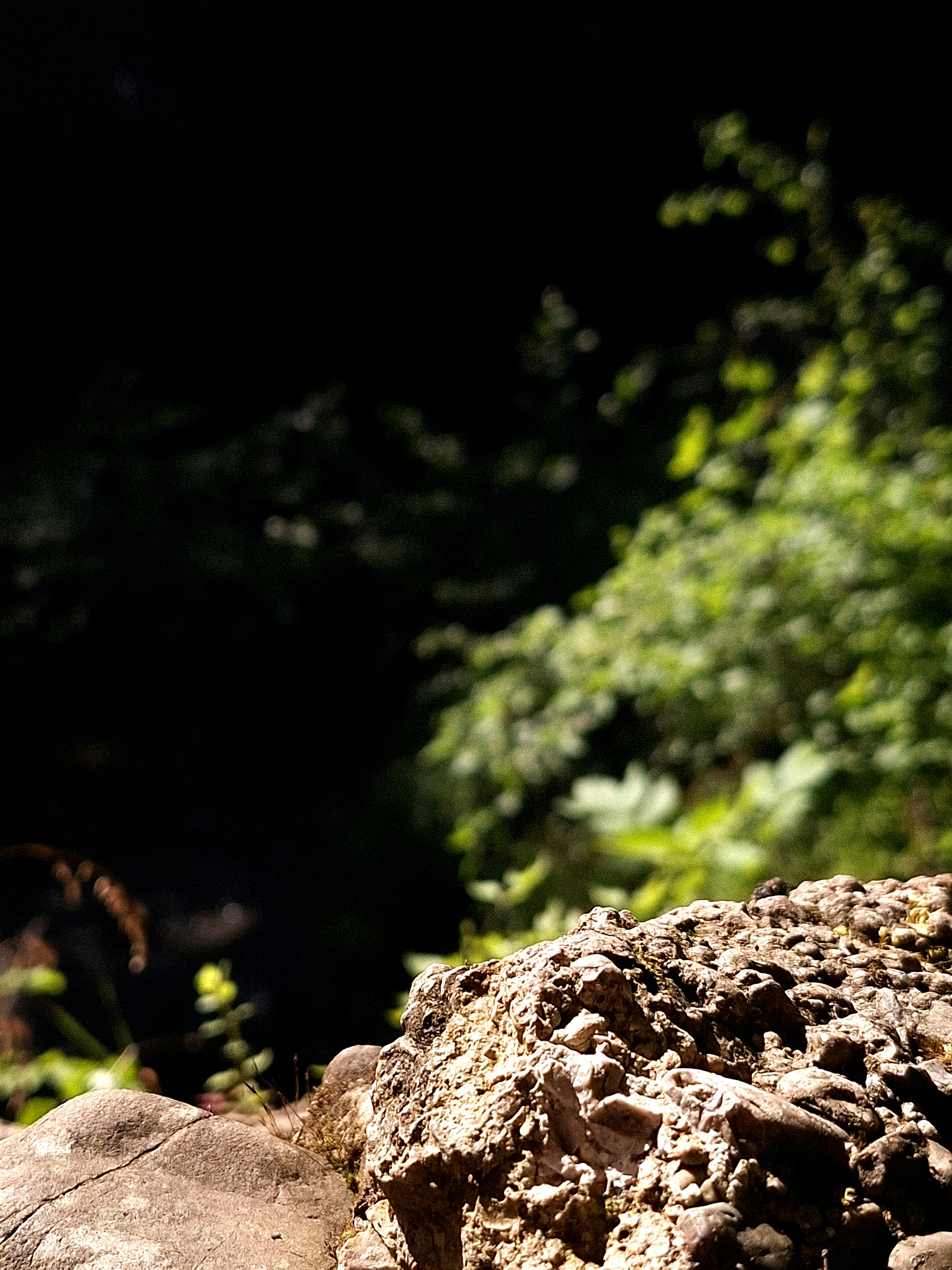 Moonlit Edge: Nightlight Over Rough Granite