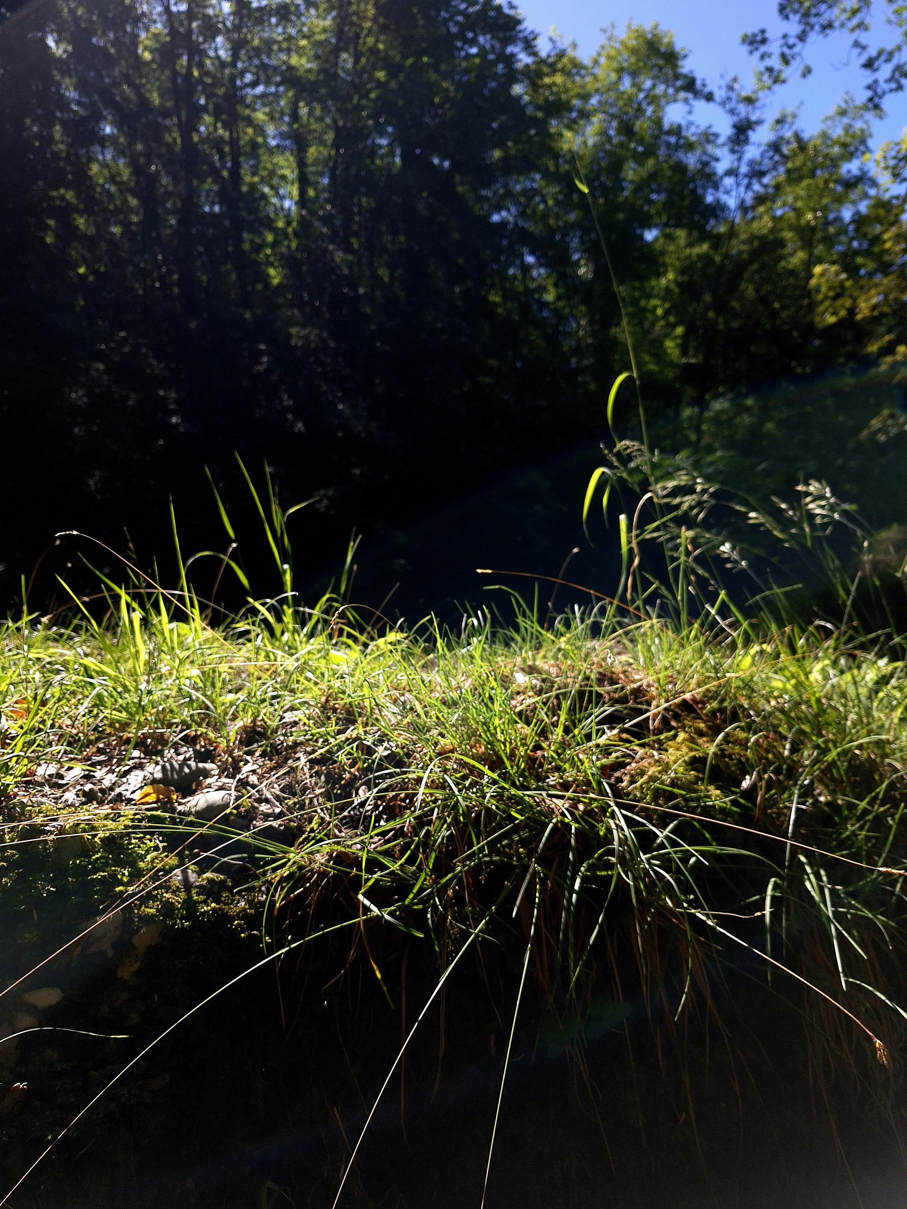 Samsung Galaxy A57 5G Sample Shots