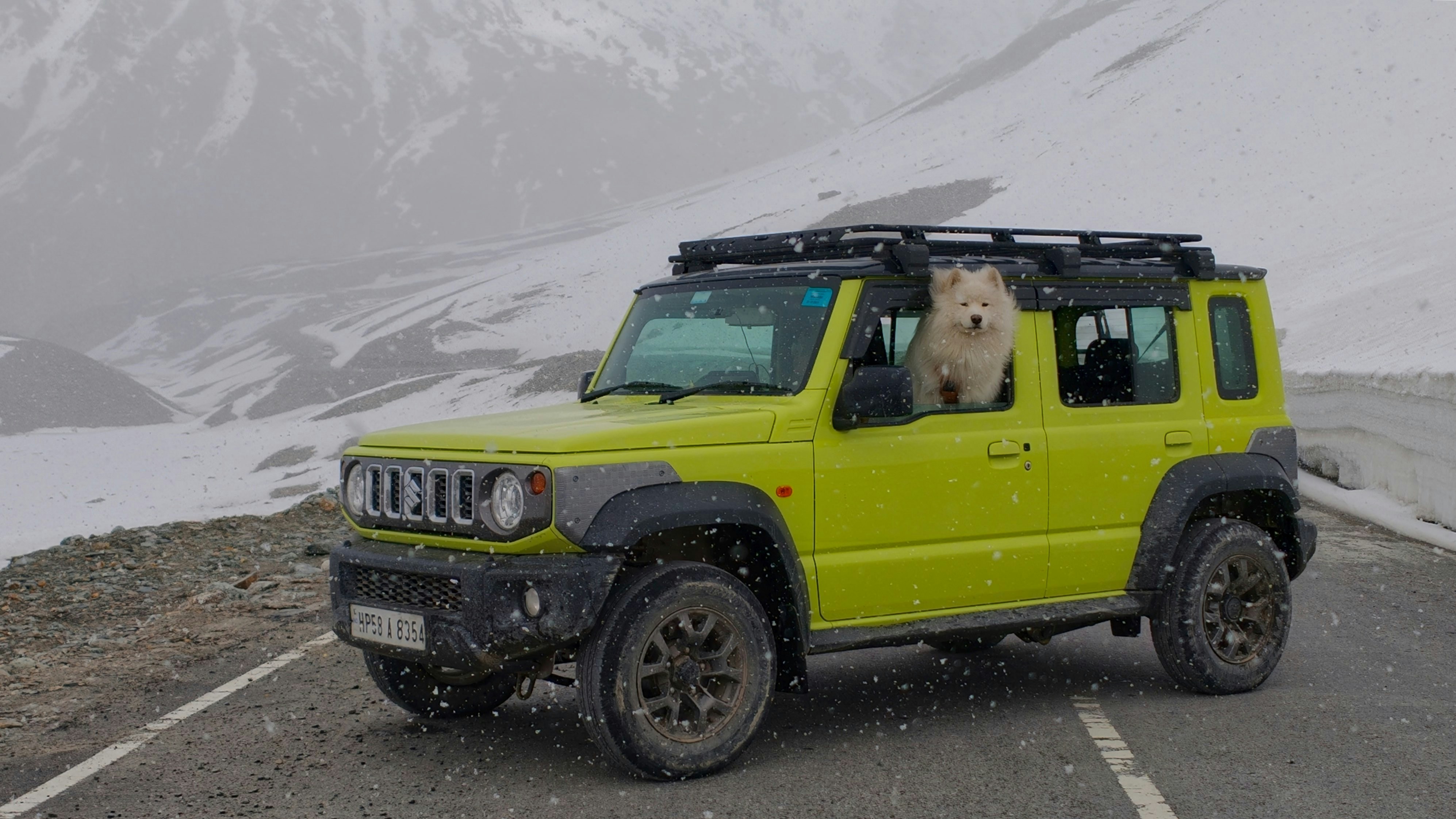 Dog in lime green car, snowy mountain background.
