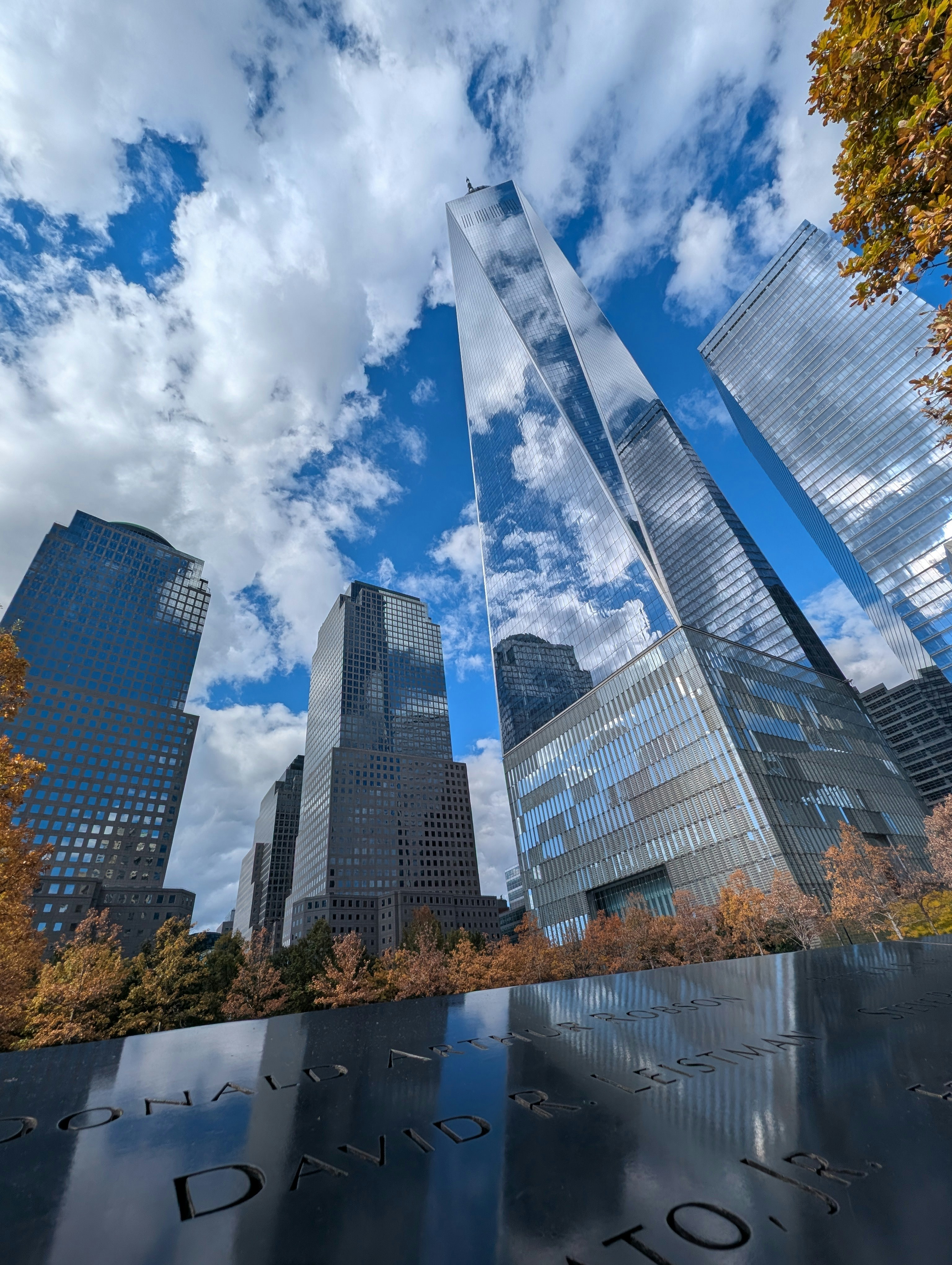 Skyward Reflections: Glass Towers Reach for the Clouds