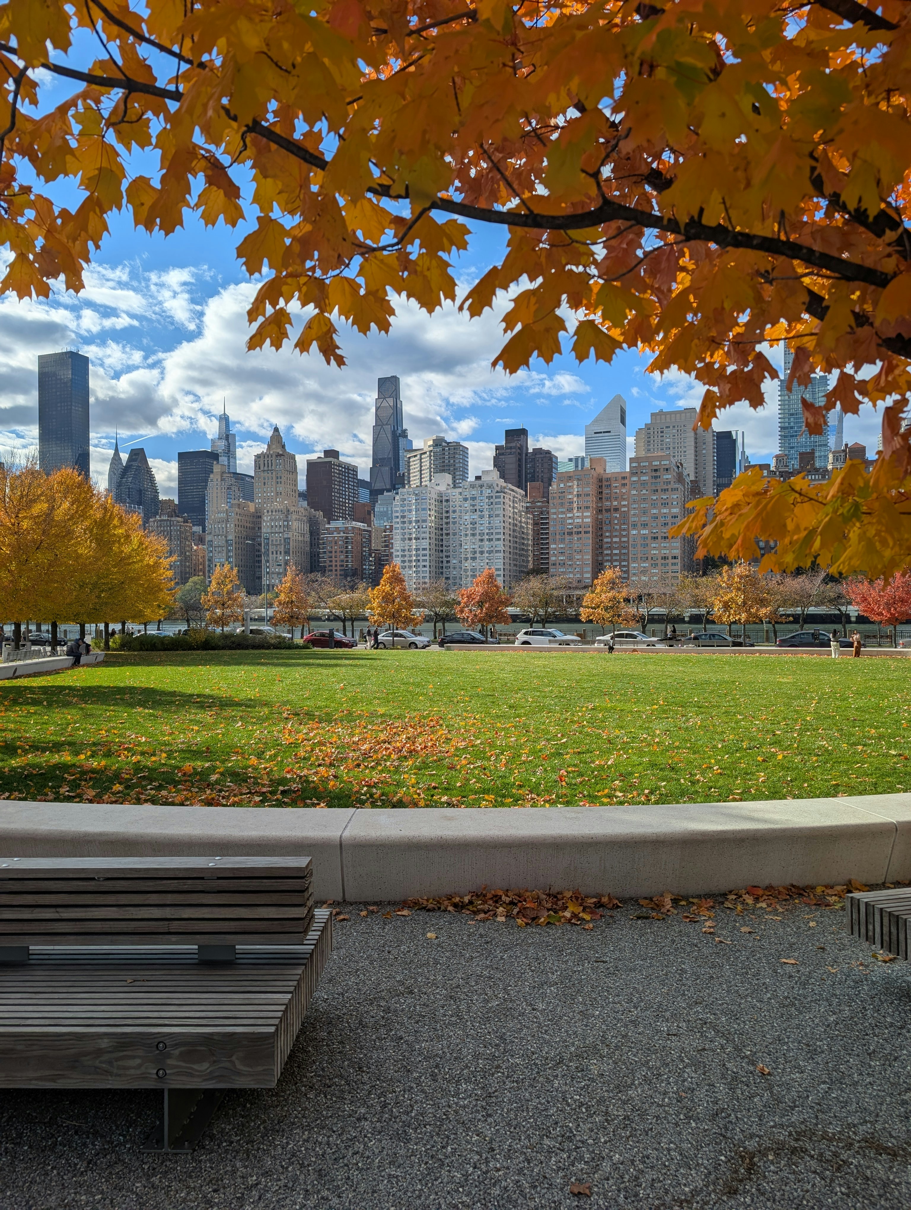 City Park Autumn Canvas with Skyline