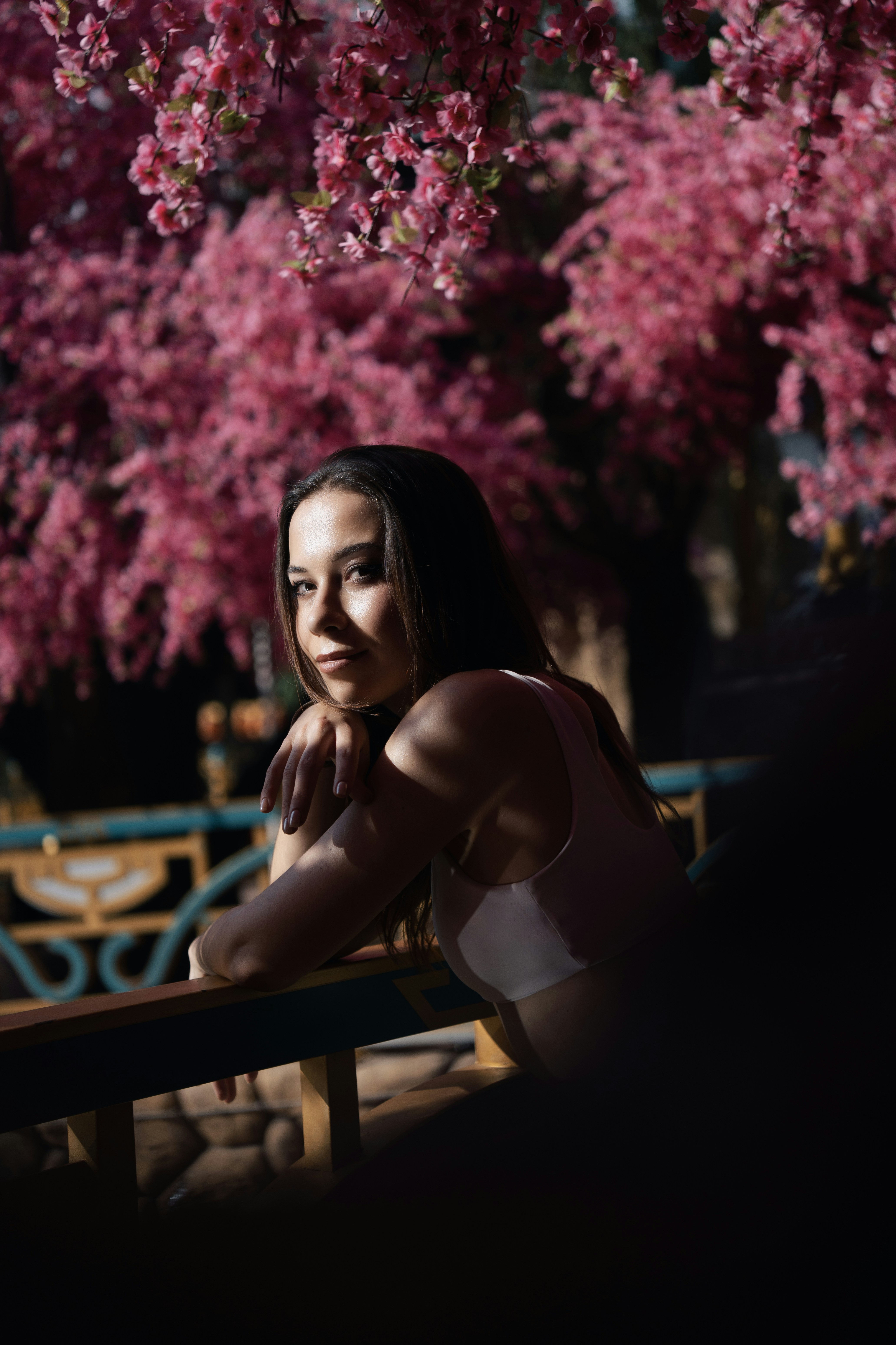 Soft Portrait Under Blooming Pink Canopy