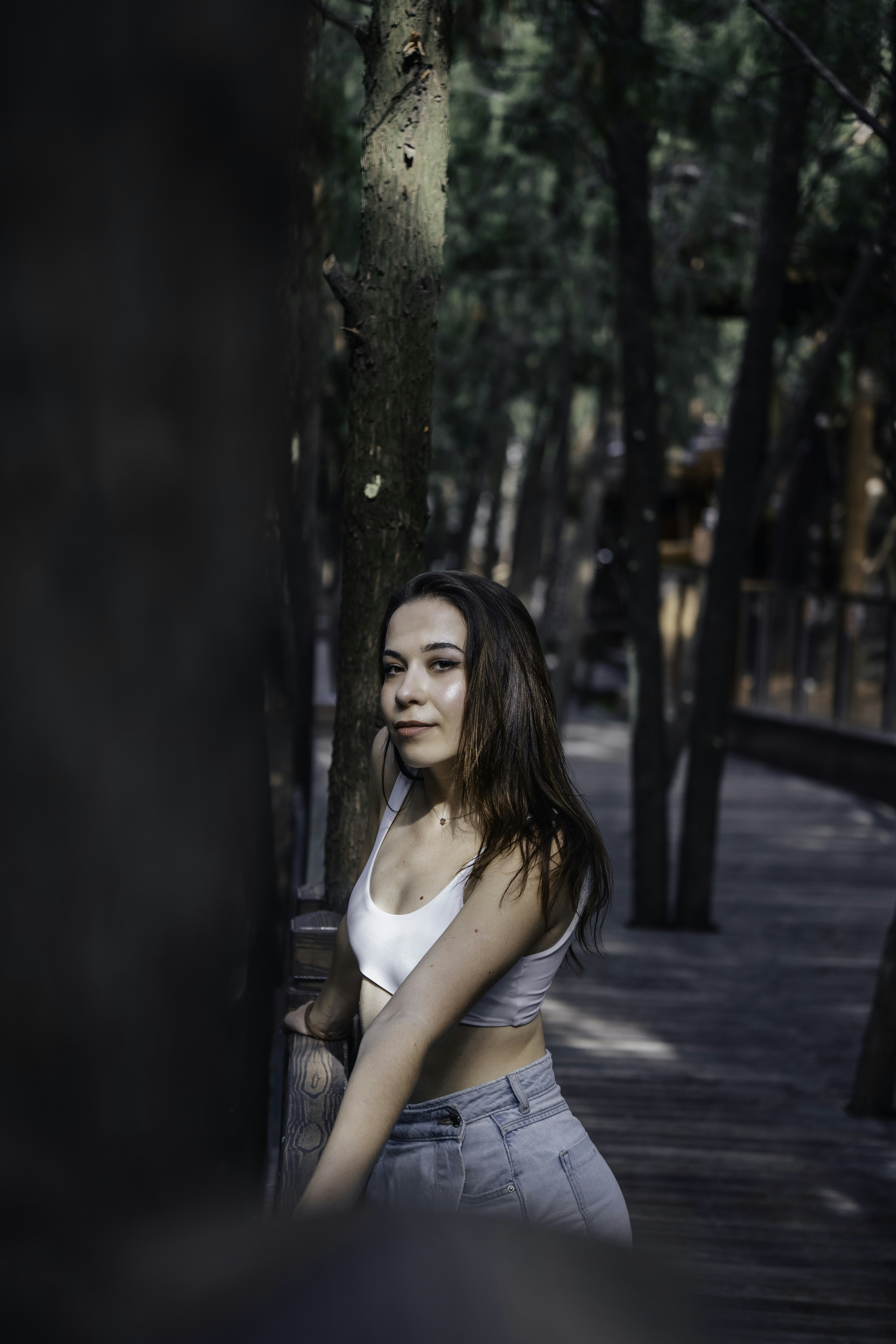 Forest Portrait: Quiet Confidence Between Tree Trunks