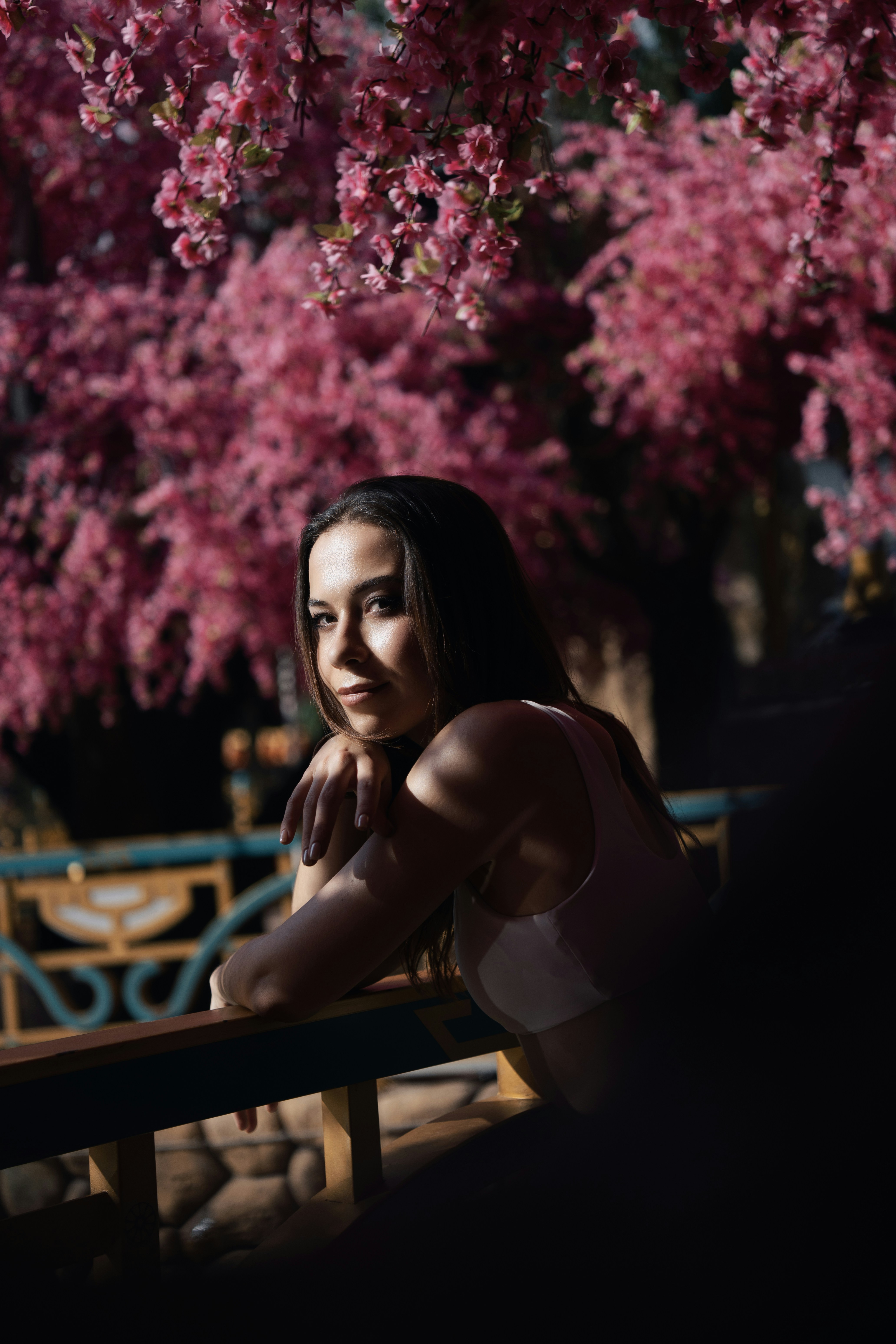 Under the Pink Cascade: Portrait Beneath Blossoms