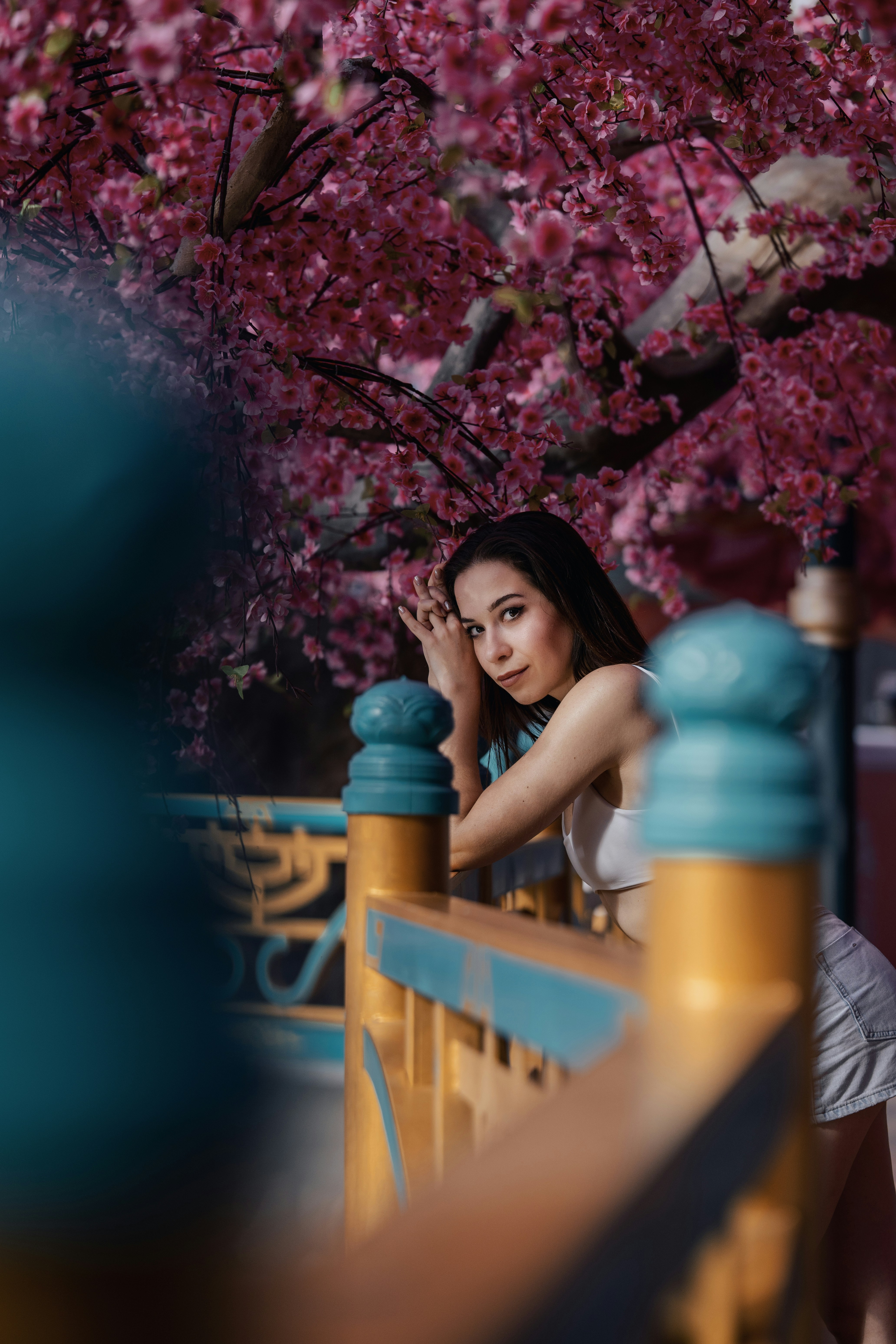 Cherry Blossom Overlook