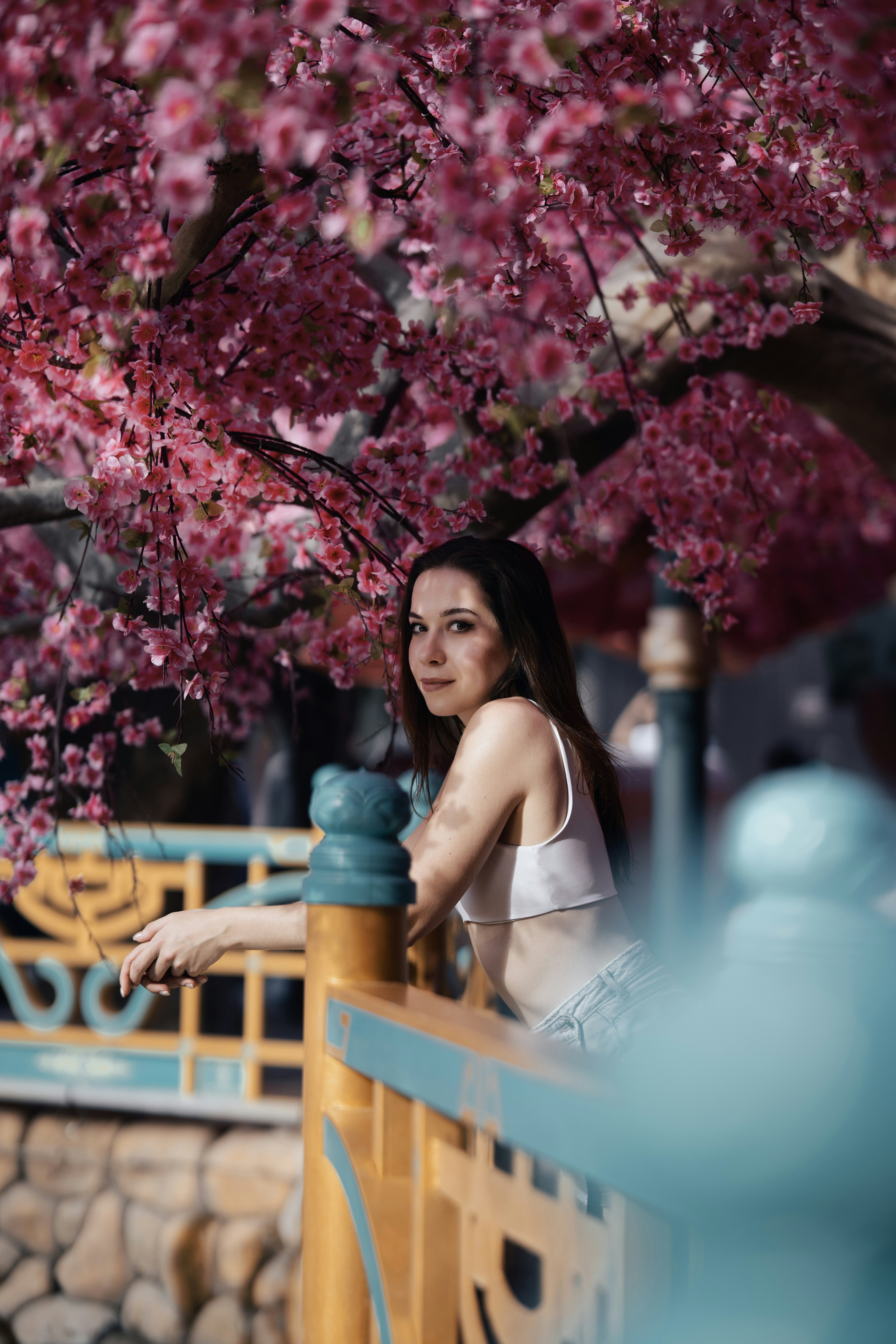 Cherry Blossom Portrait on a Lanterned Bridge