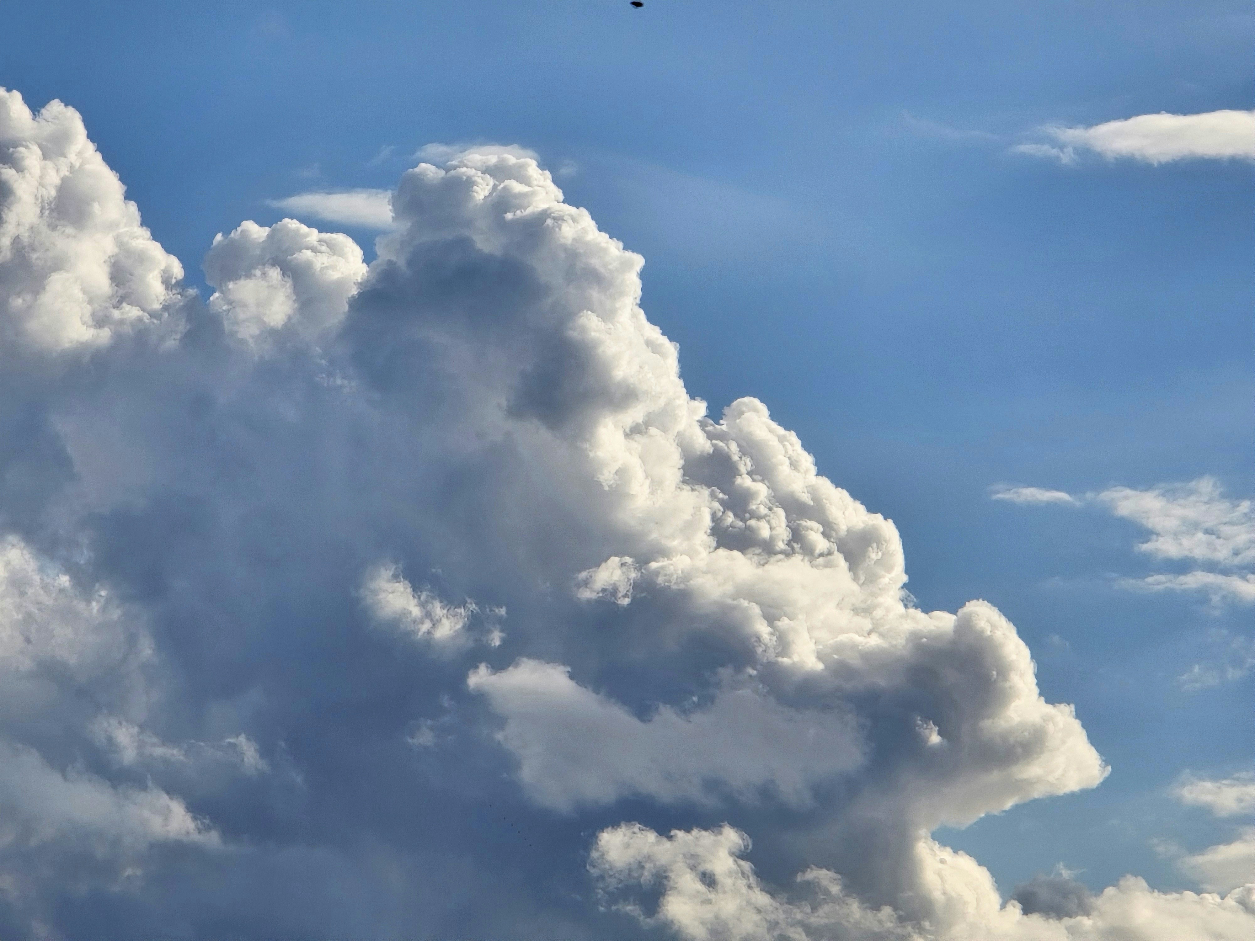 Cloud Mammoth over a Blue Expanse