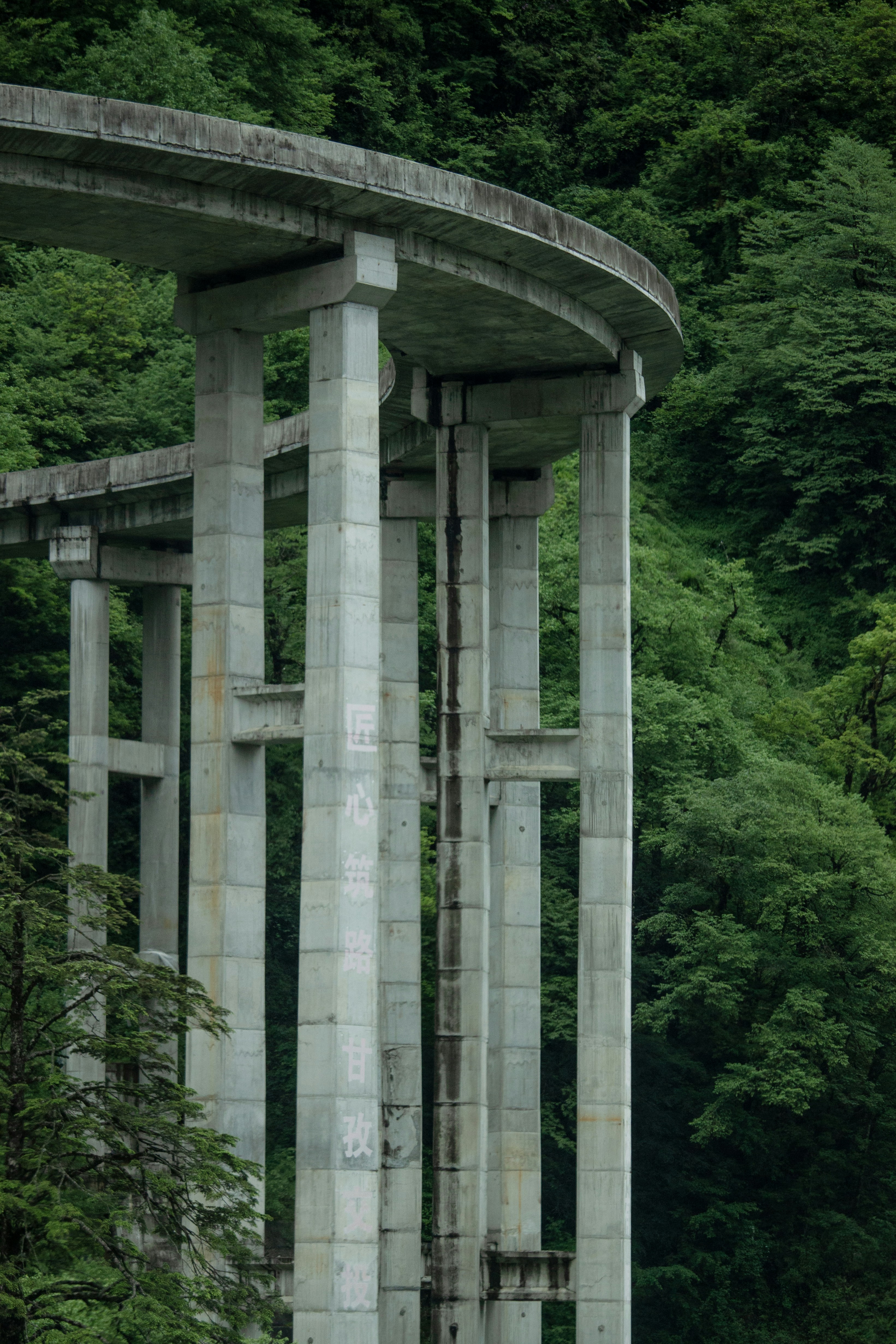 Vertical Concrete Wings: A Curved Bridge Pillar Drama Amid Green Cliffs