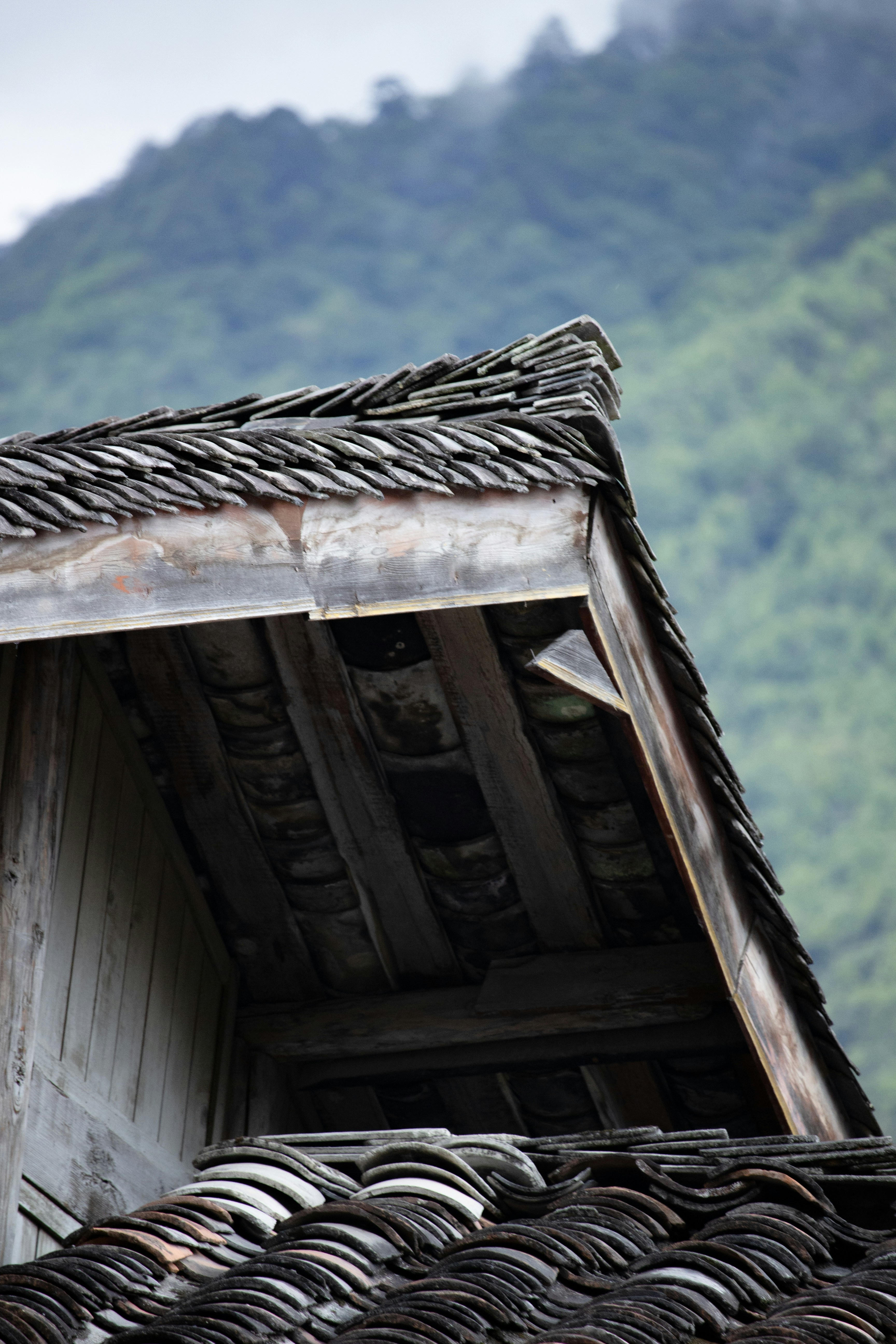 Weathered Roof Rhythms in a Mountain Village