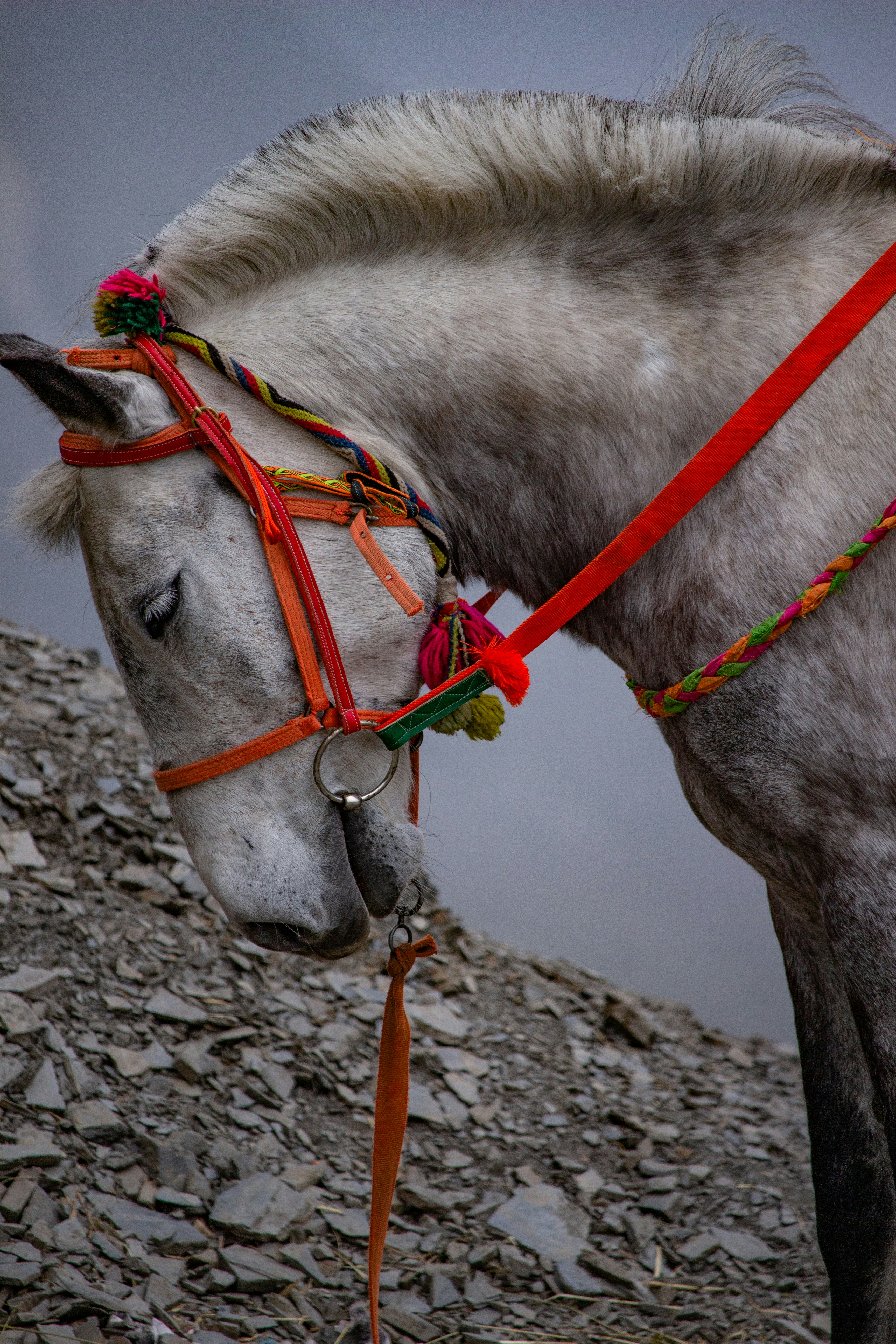 Downcast Moment: A Quiet Pause Beneath a Mountain Ridge