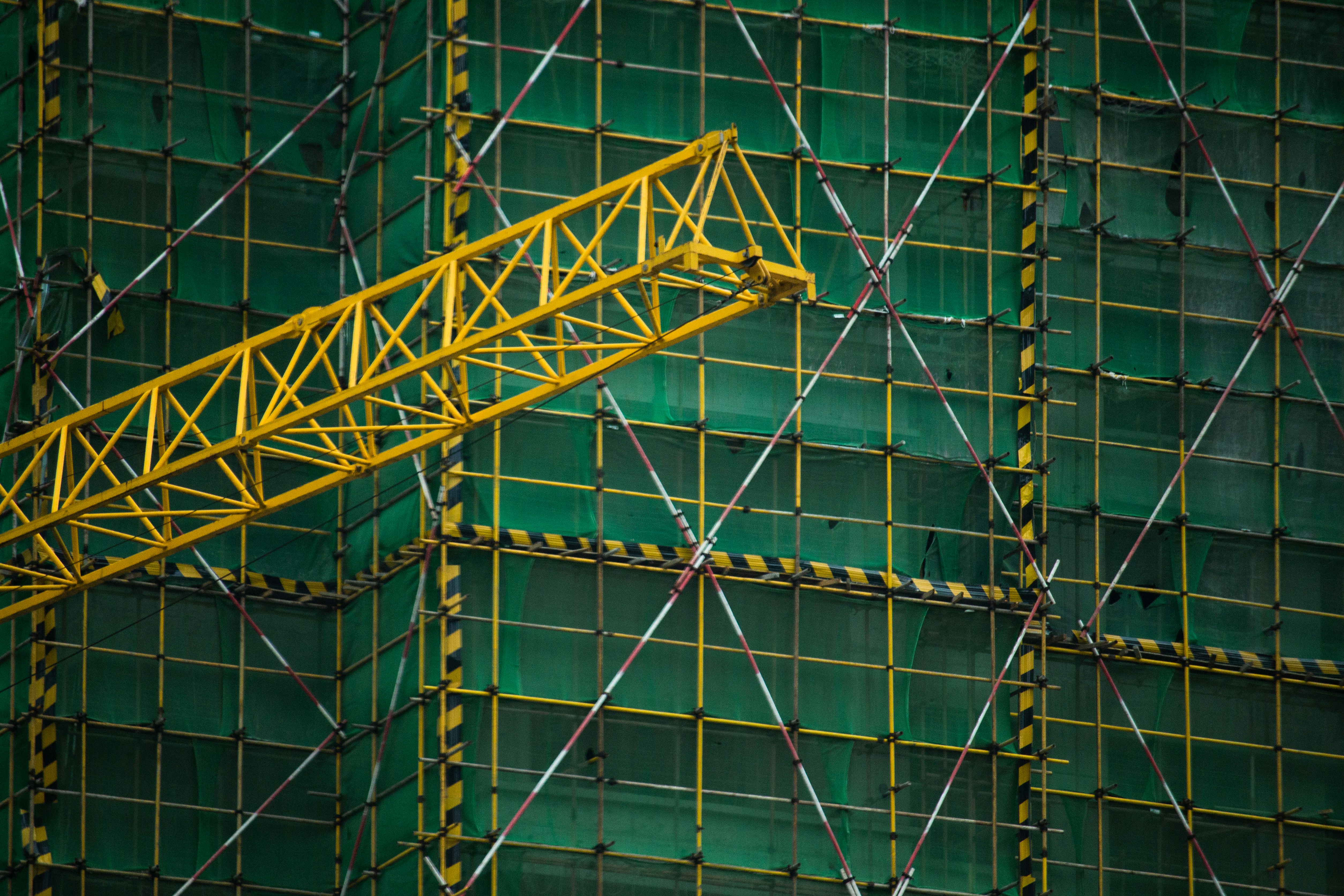 Yellow Crane Rests on a Lattice of Green and Steel