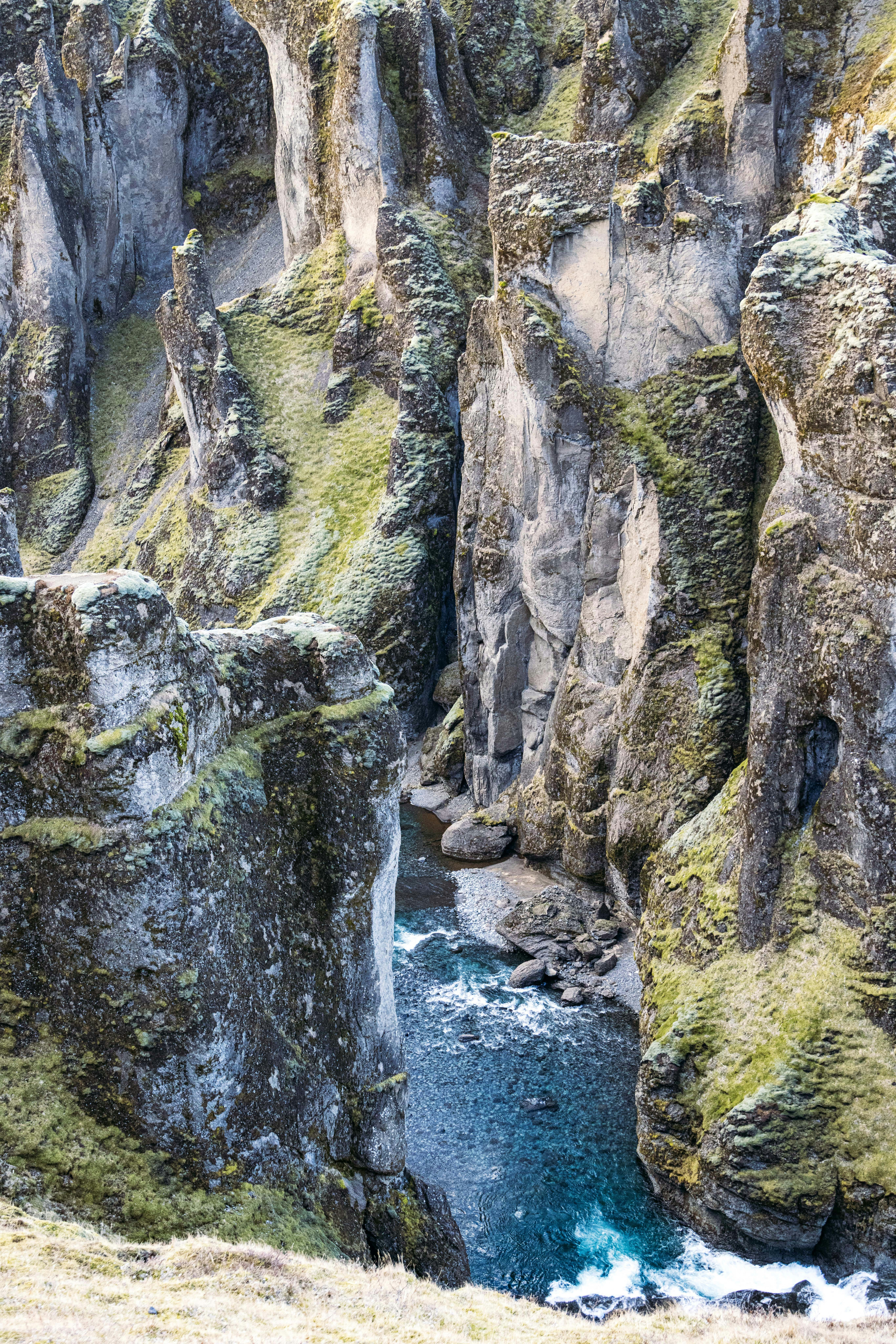 Stone Gargoyles Carved by the Sea: A Narrow Fjord of Moss and Mist