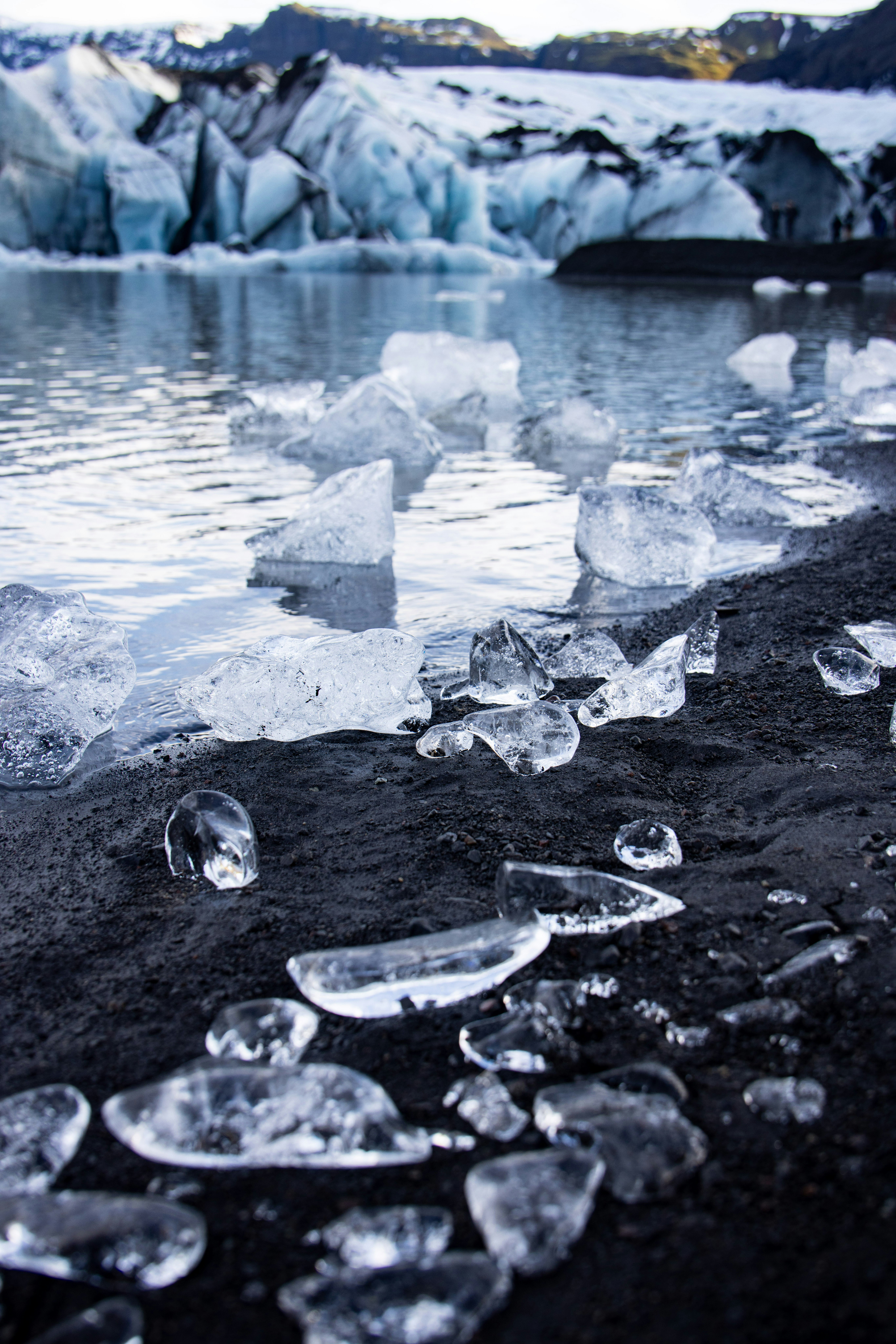 Icy Fragments along a Glacier-Rimmed Shore