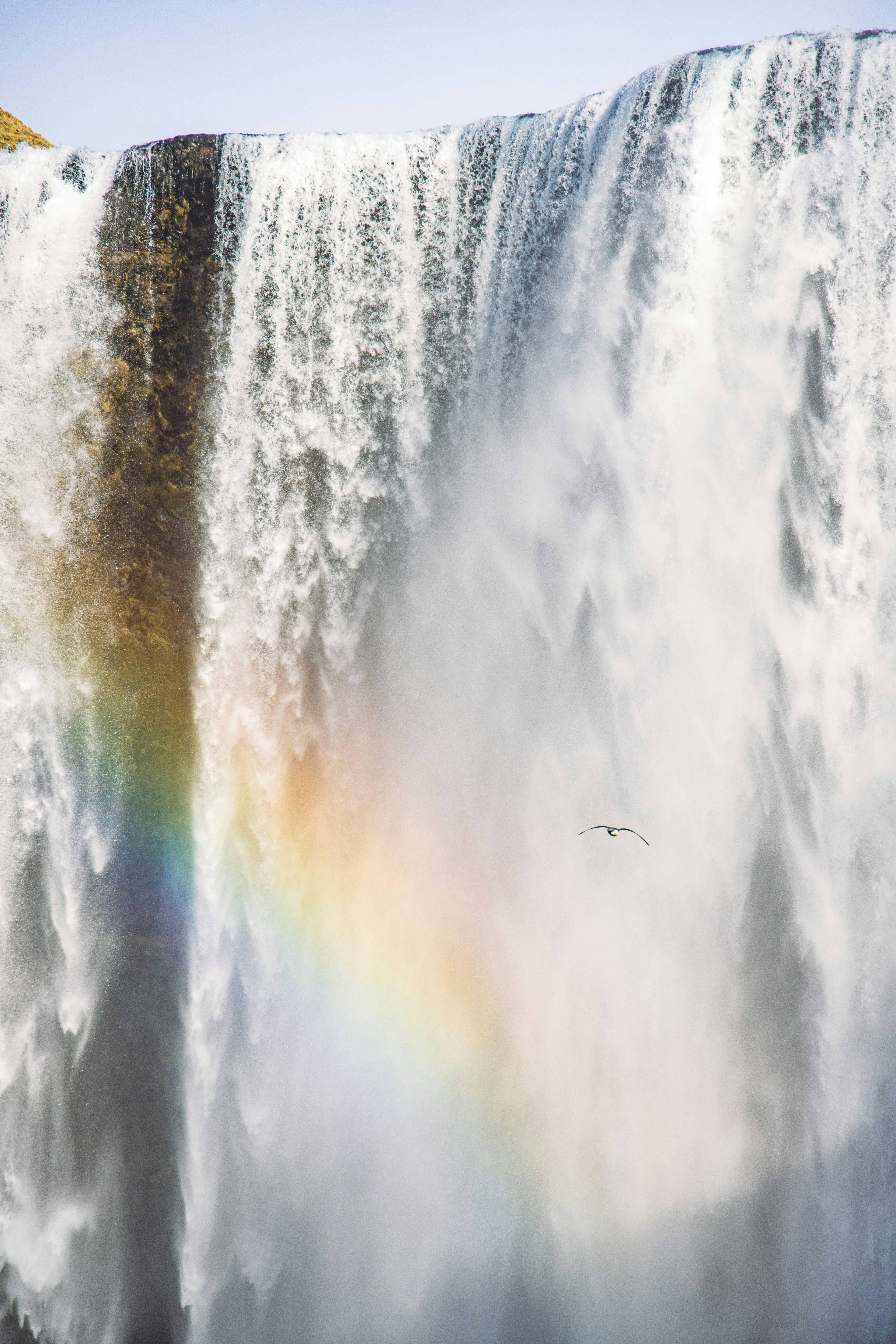 Rainbow Veil over a Mighty Cascade