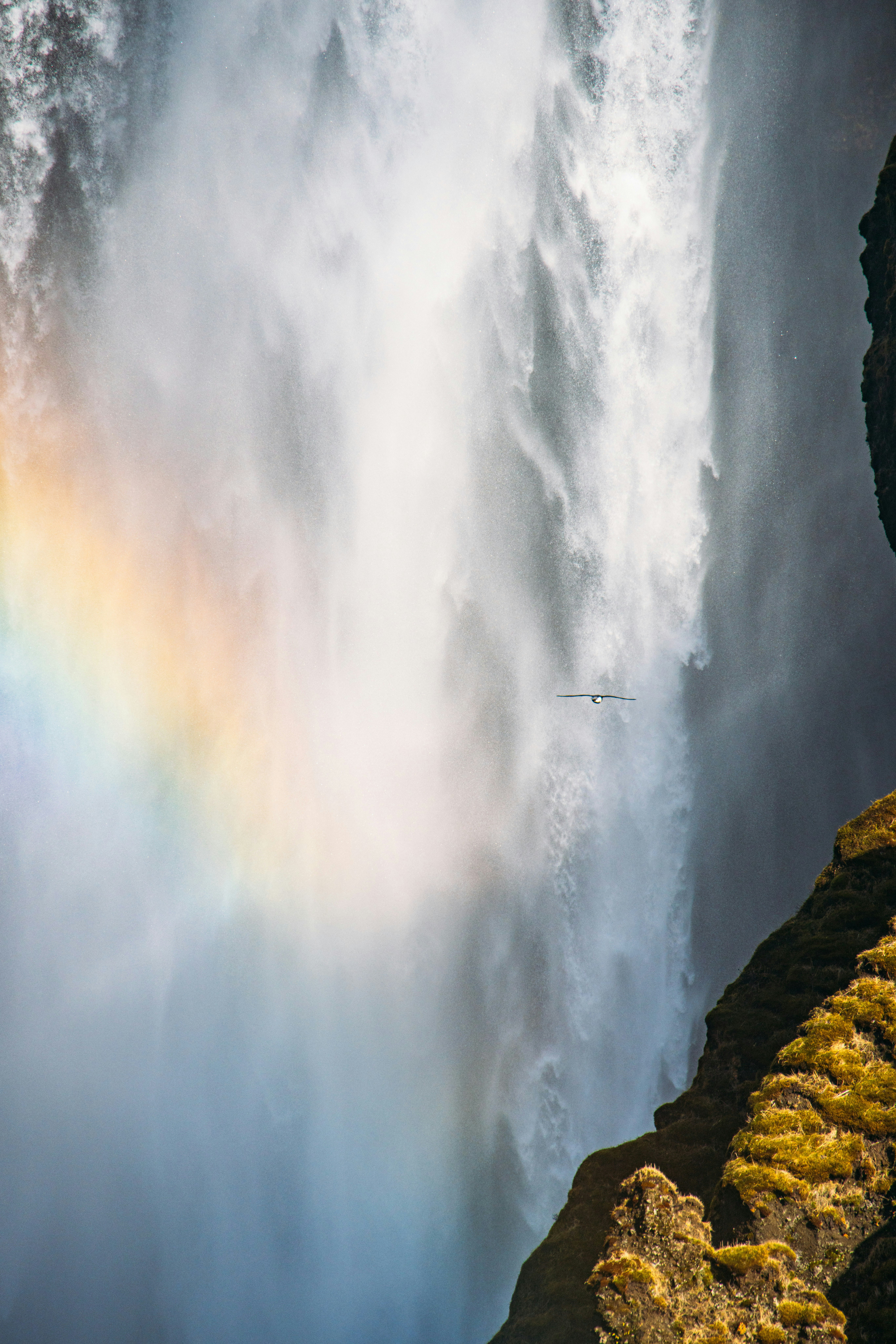 Rainbow Veil by the Cascade: A Smooth Glide of Mist and Light