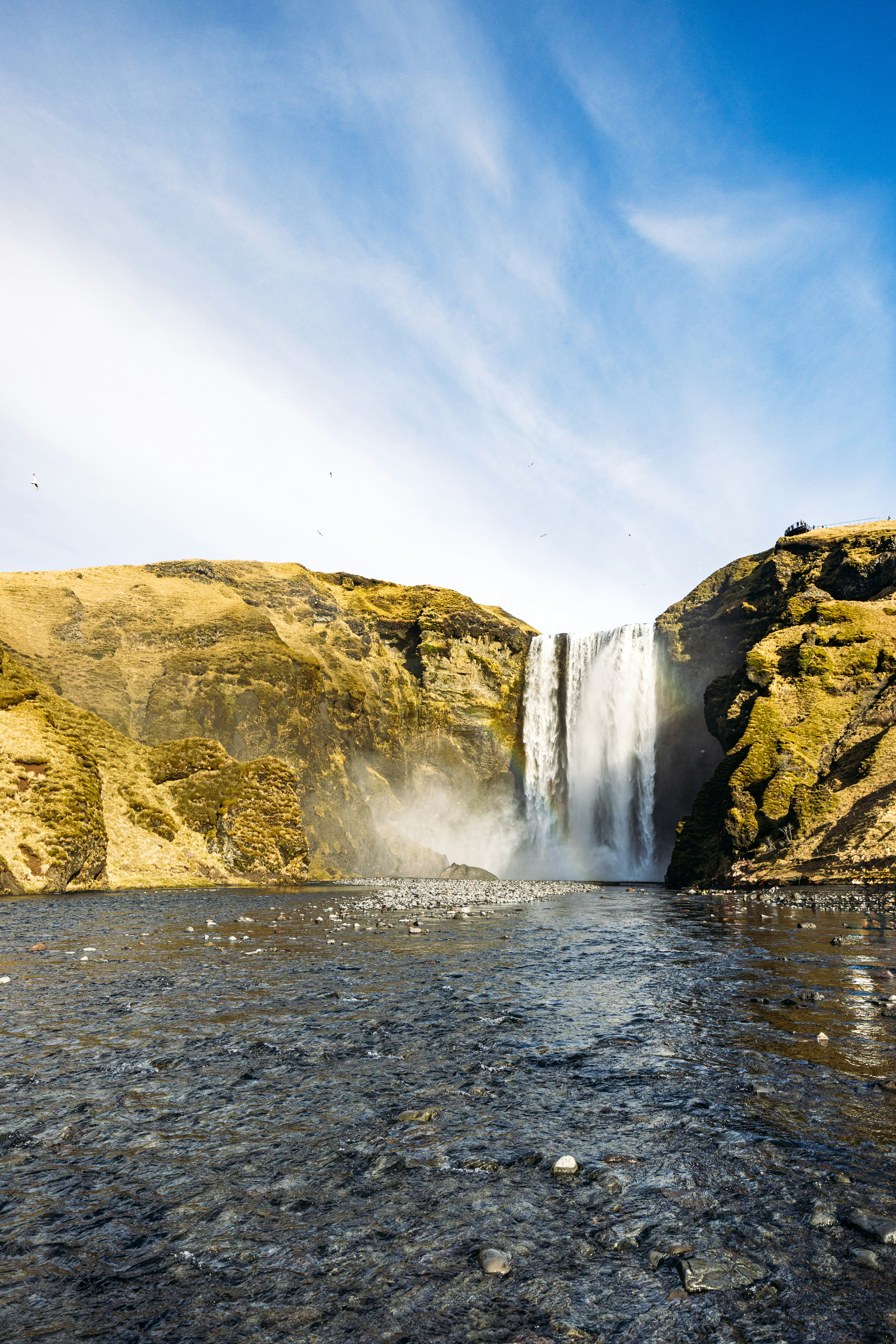 Icelandic Curtain: A Steady Cascade Between Golden Cliffs