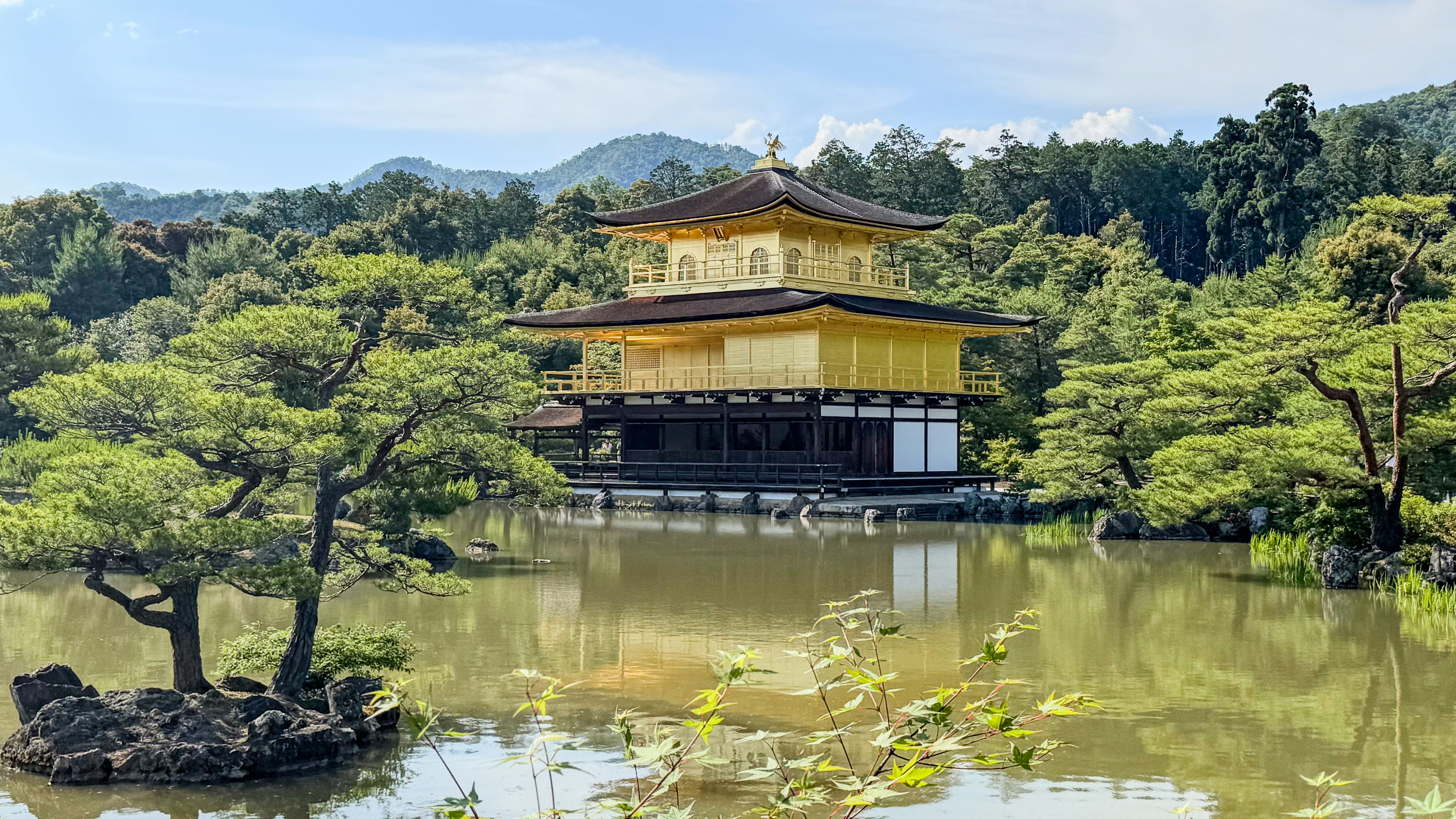 Golden temple building reflected in a pond amidst green trees.